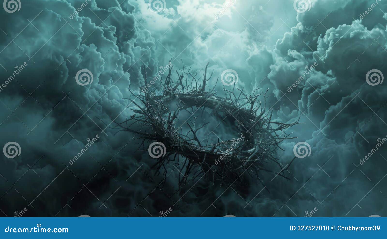 The Gothic Visual of Crown of Thorns Invokes a Sense of Mystique and ...