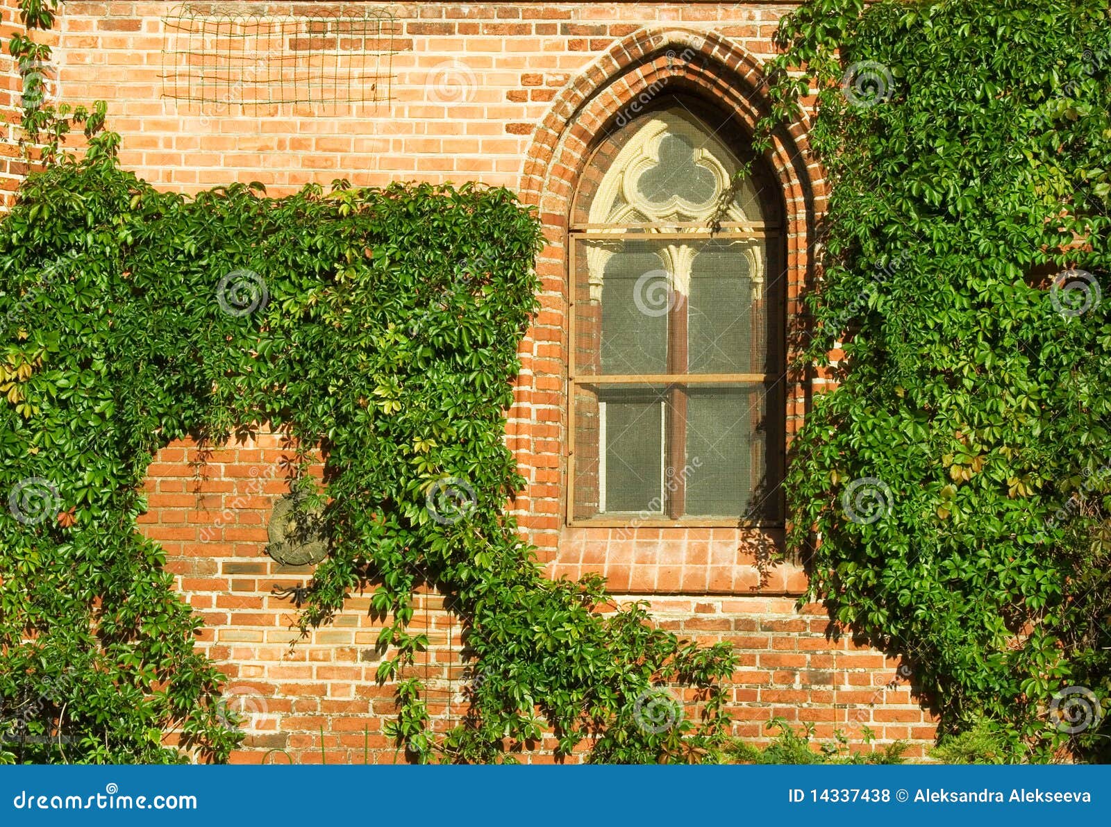 Gothic Window Royalty-Free Stock Image | CartoonDealer.com #183742