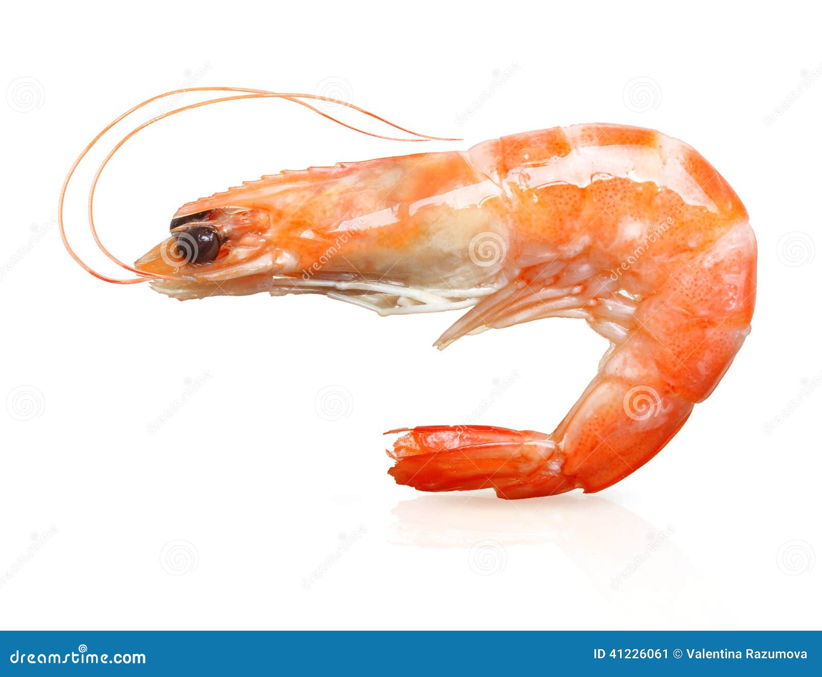 Gotująca Garnela Odizolowywająca Obraz Stock - Obraz złożonej z kuchnia ...
