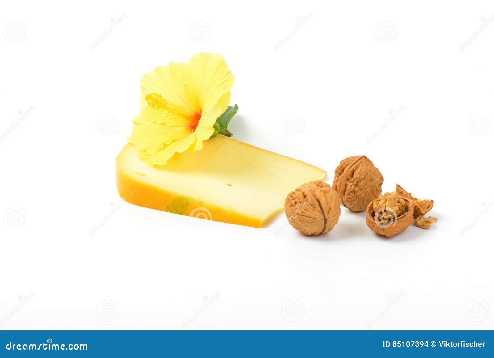 Gouda Cheese Walnuts Hibiscus Stock Photos - Free & Royalty-Free Stock ...