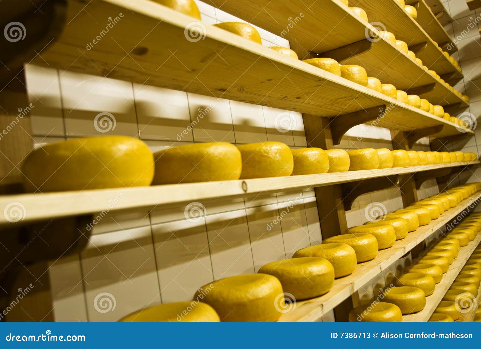 Gouda Del Dutch Del Formaggio Immagine Stock - Immagine di ...