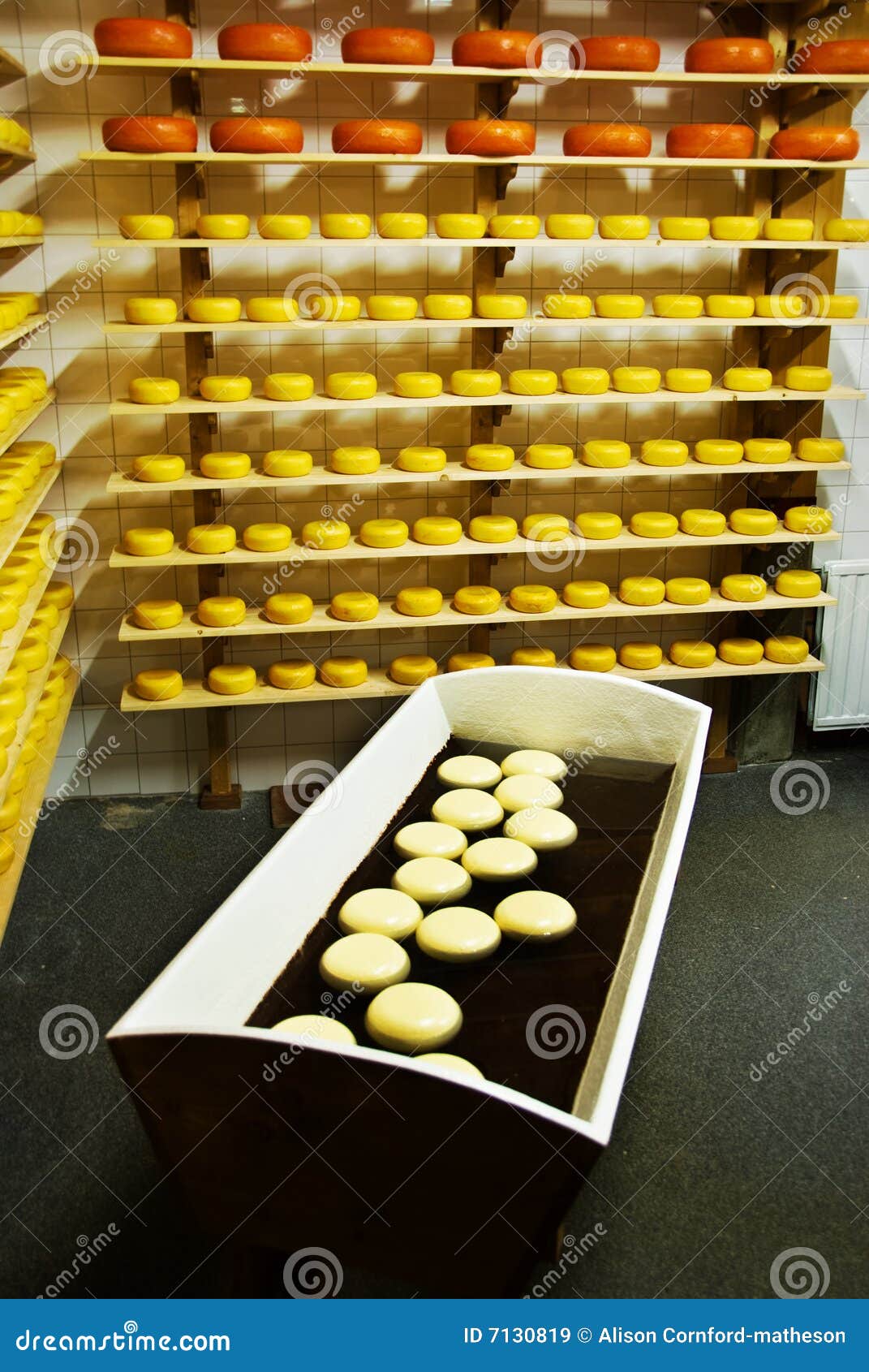 Gouda - formaggio olandese immagine stock. Immagine di fila - 7130819