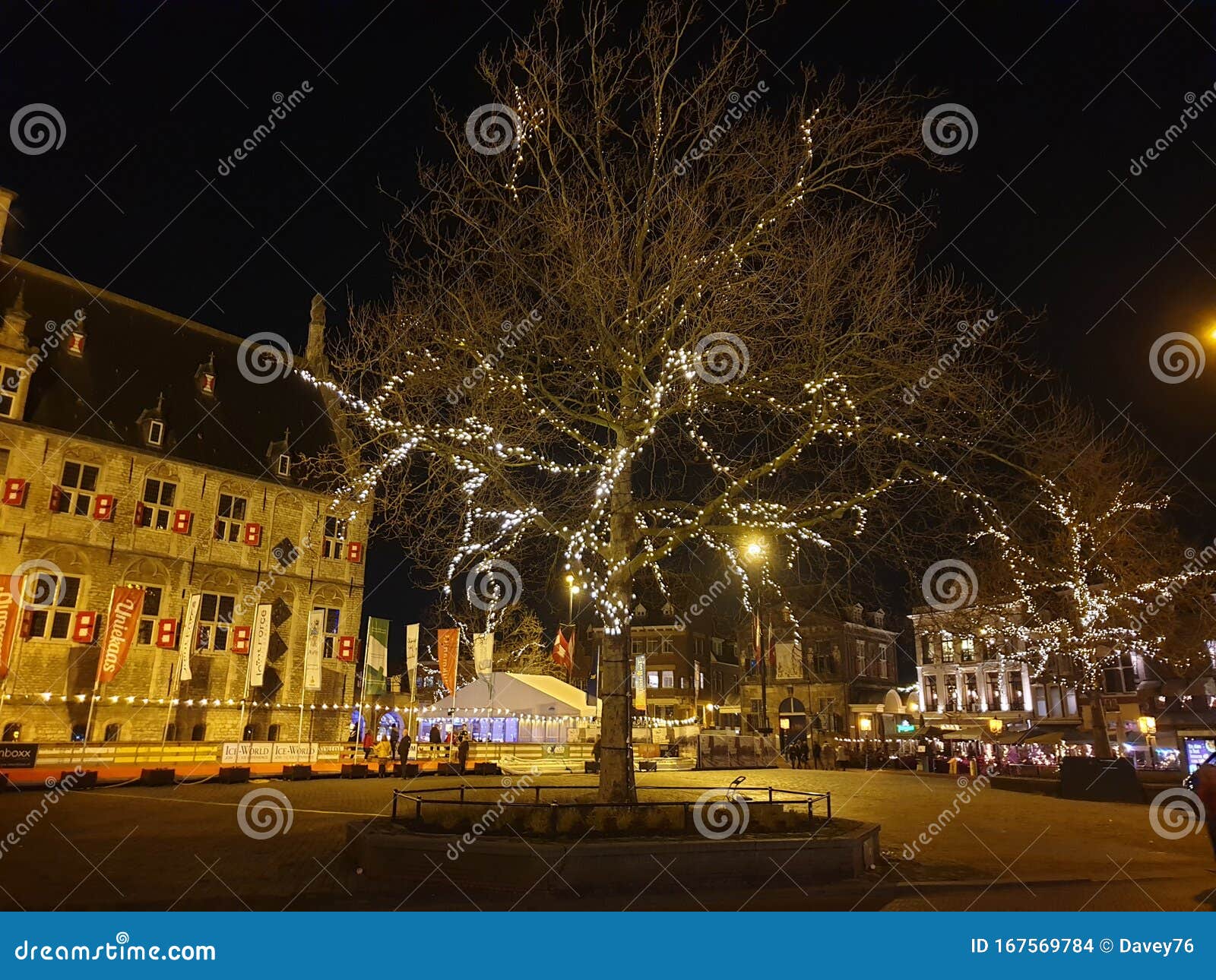 Gouda by Night Town Hall Christmas Tree Editorial Stock Image - Image ...