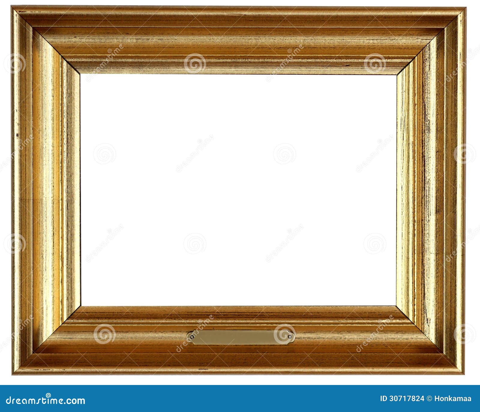 Gouden kader stock foto. Image of portret, goud, kader - 30717824