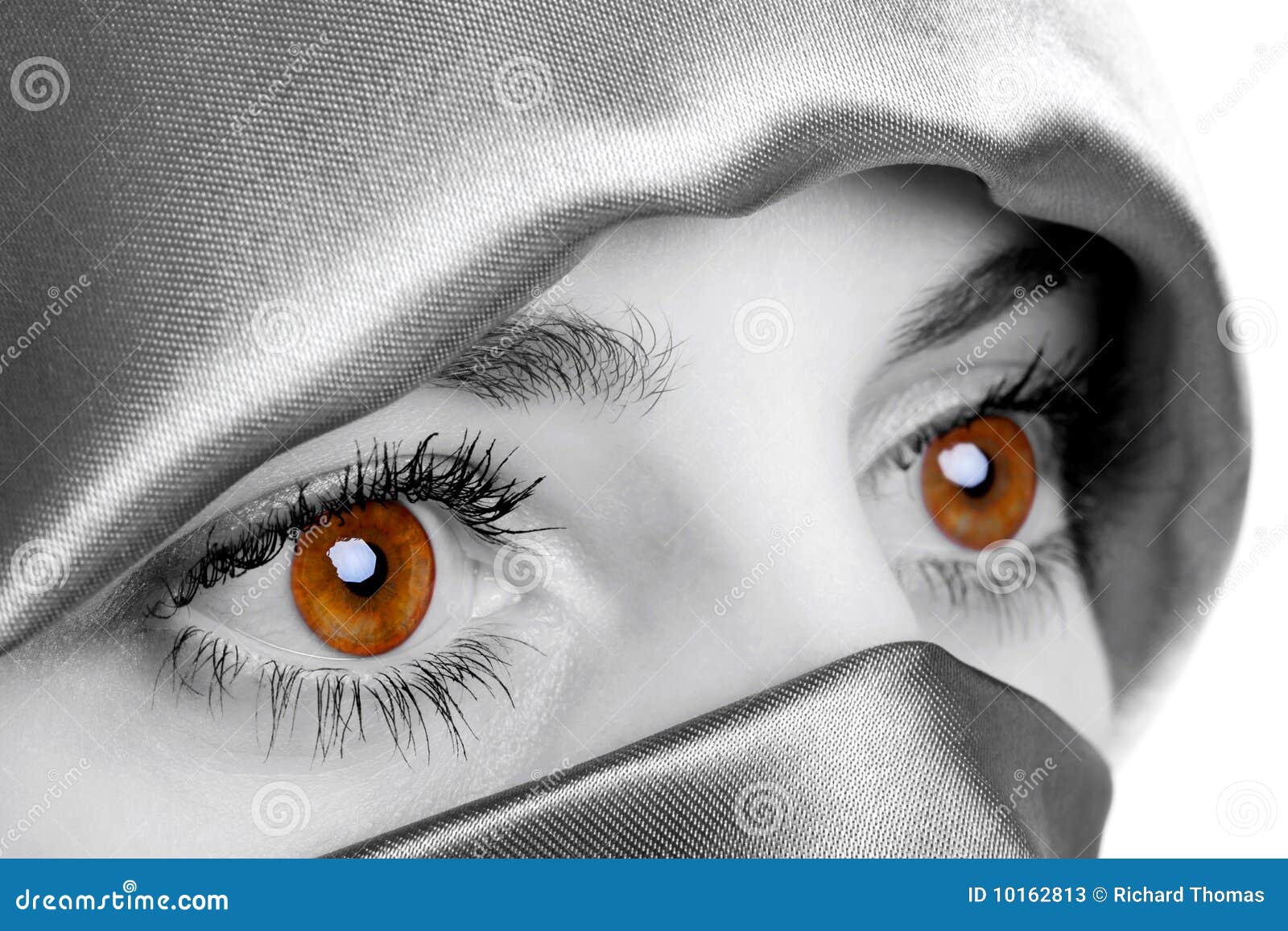 Gouden Ogen stock afbeelding. Image of wijfje, hoog, schoon - 10162813