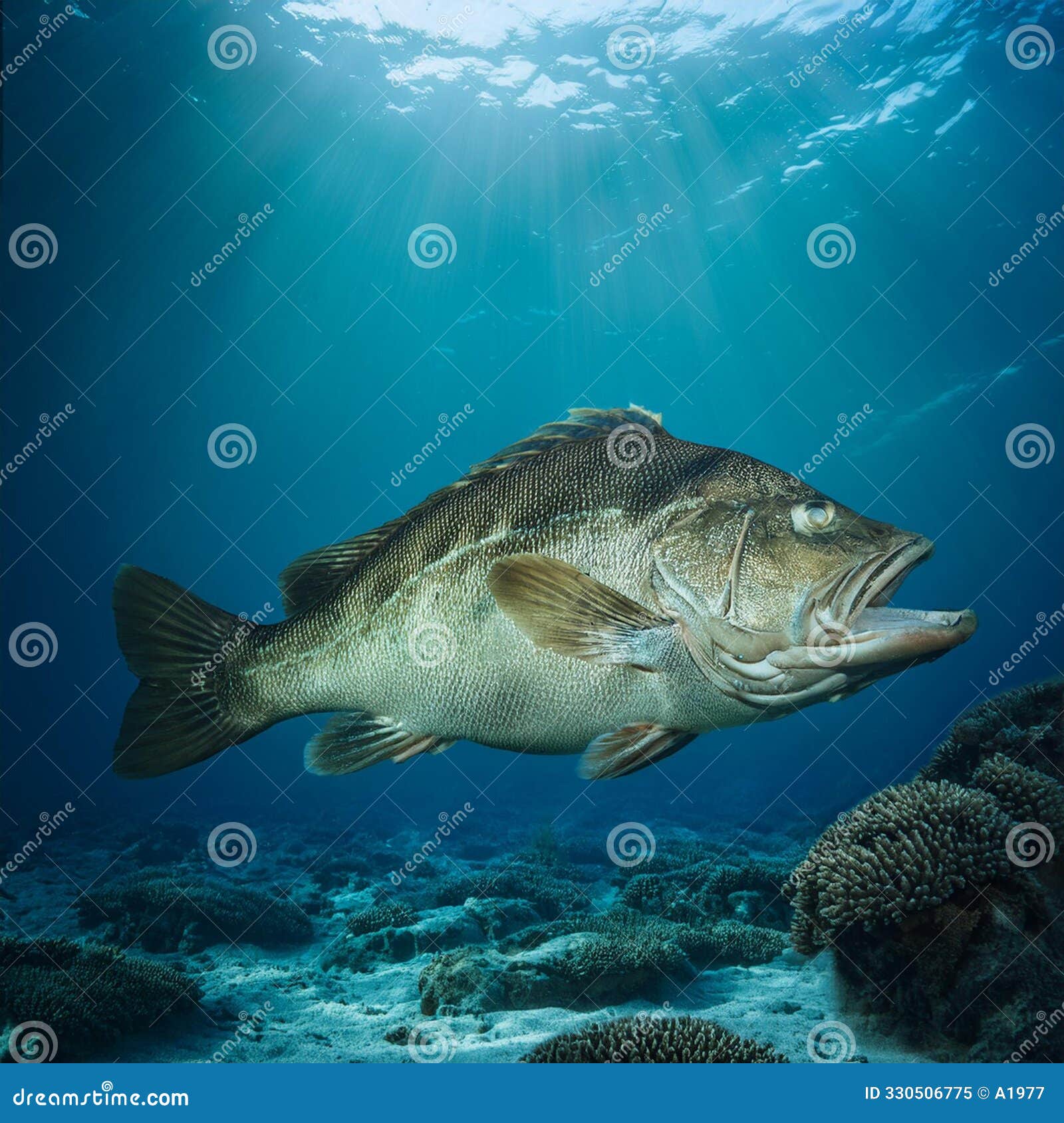 Gouge fish, AI generated stock illustration. Illustration of fish ...