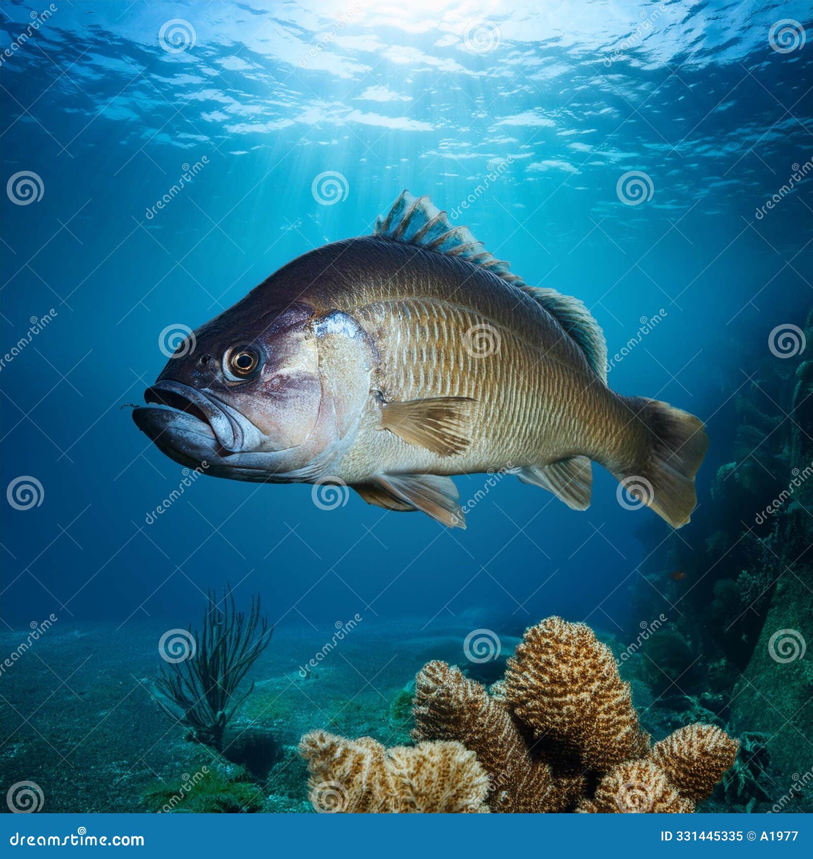 Gouge fish, AI generated stock illustration. Illustration of animal ...