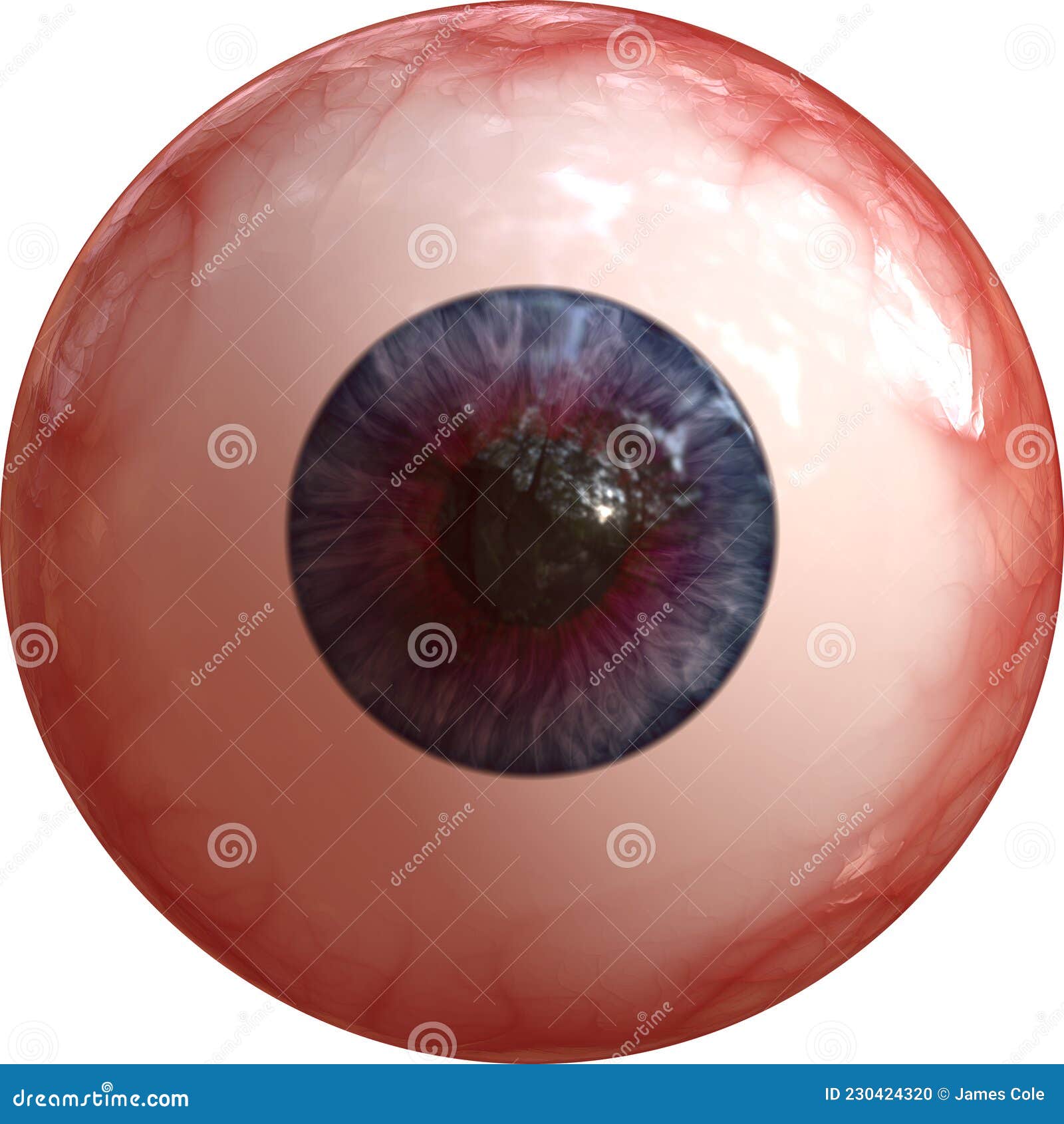 Bloodshot Eyeball Icon, Cartoon Style | CartoonDealer.com #86760807