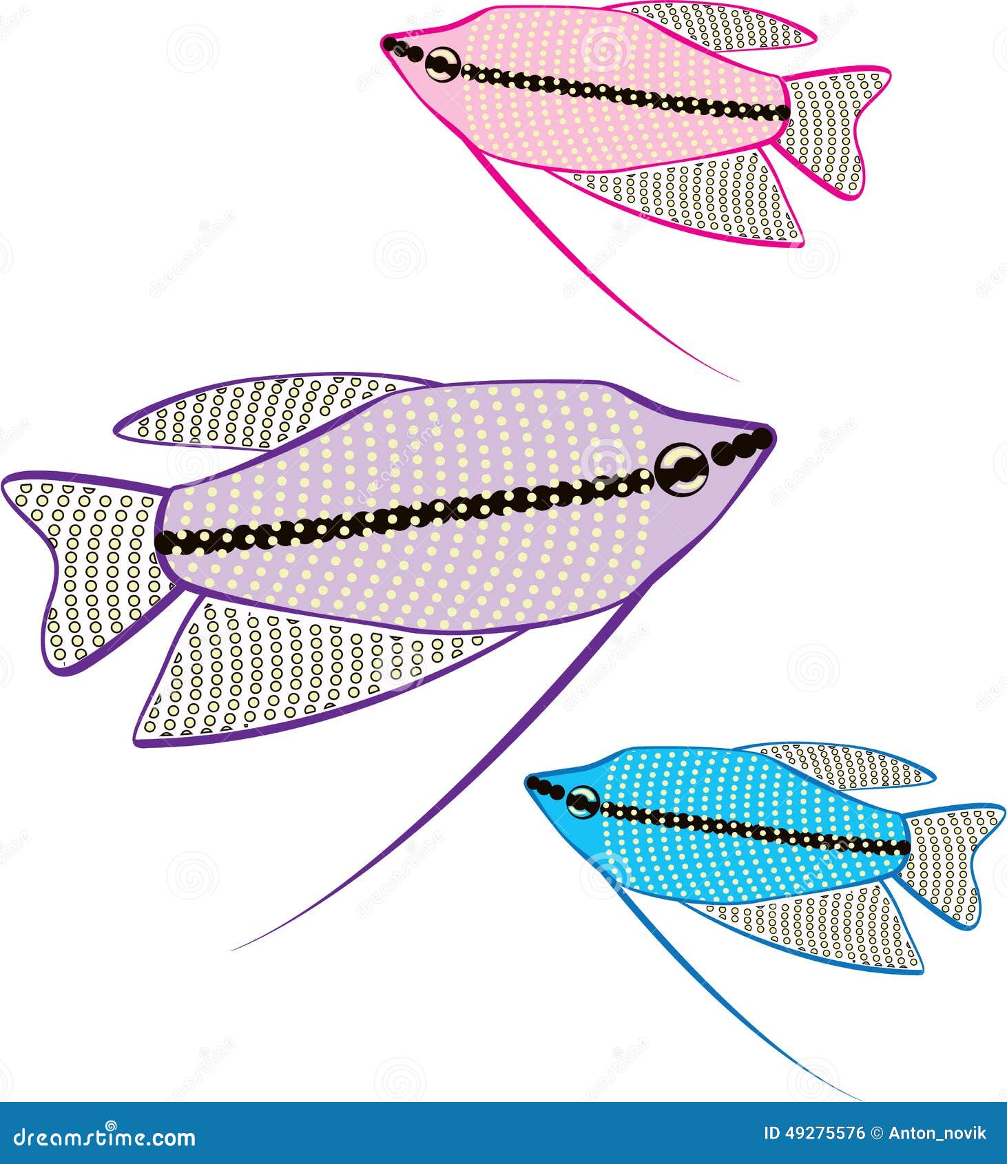 Gourami Fish stock vector. Illustration of light, decorative - 49275576