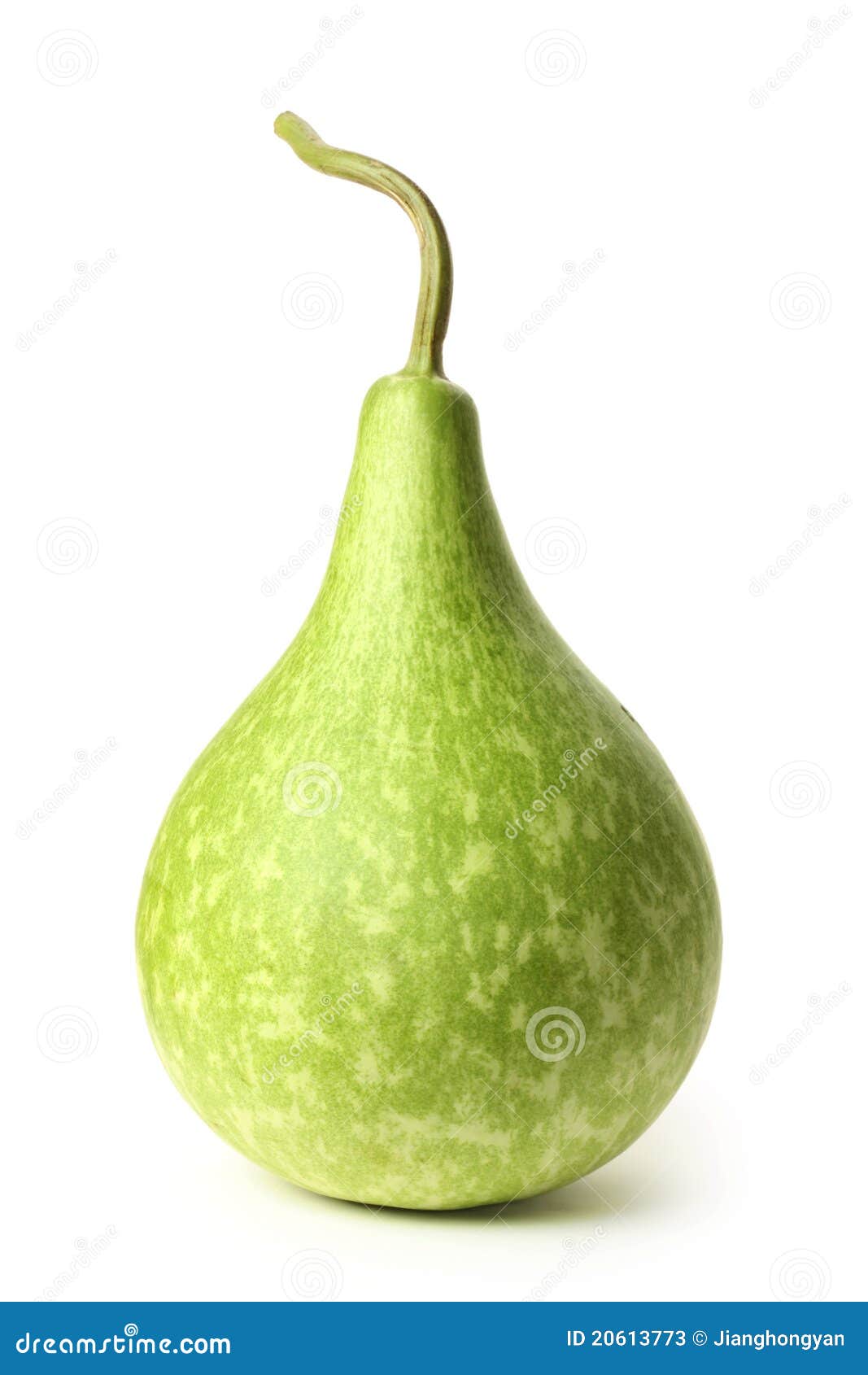 Gourd stock image. Image of gourd, length, squash, summer - 20613773