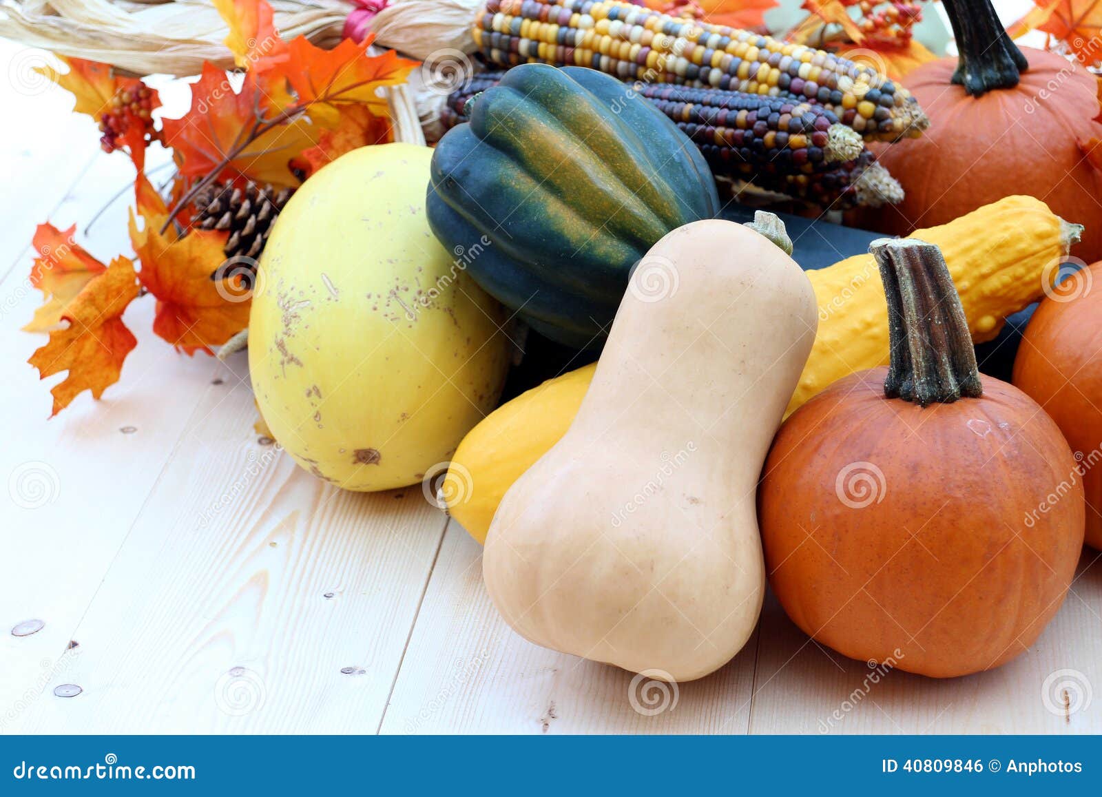 Gourd squash stock photo. Image of agriculture, cluster - 40809846
