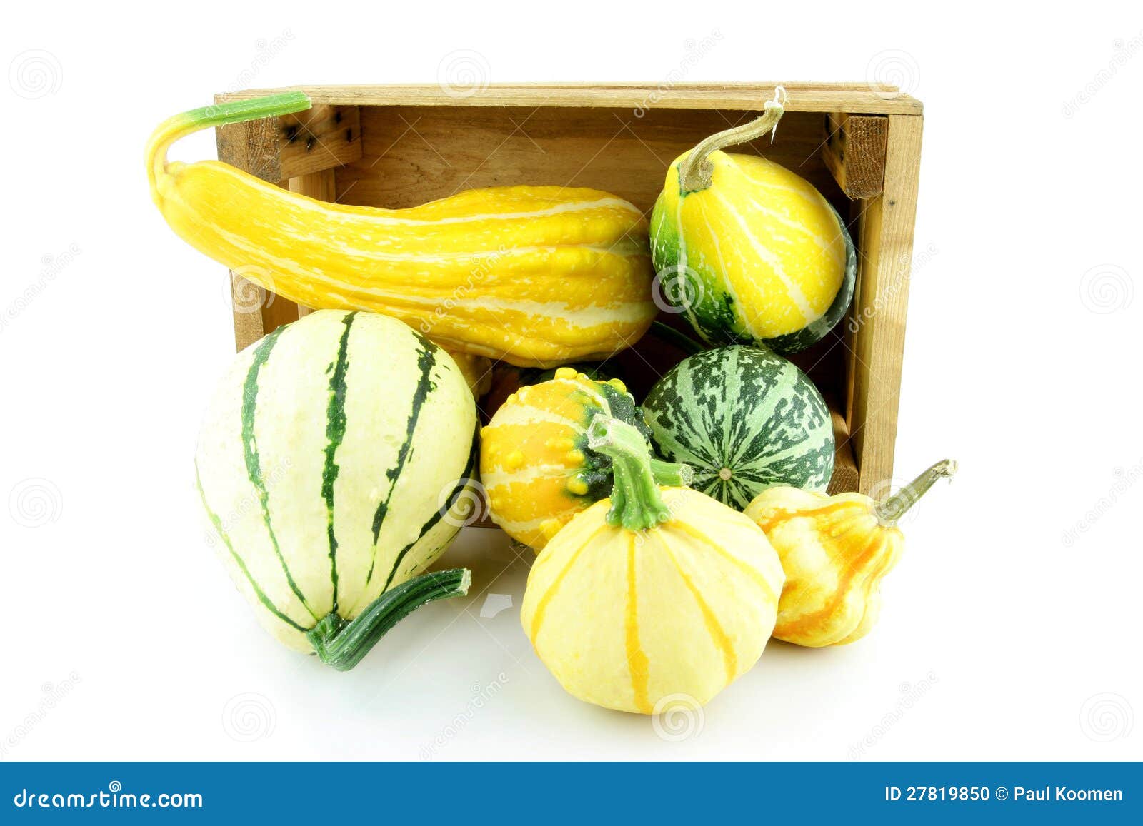 Gourds stock photo. Image of crate, halloween, calabash - 27819850