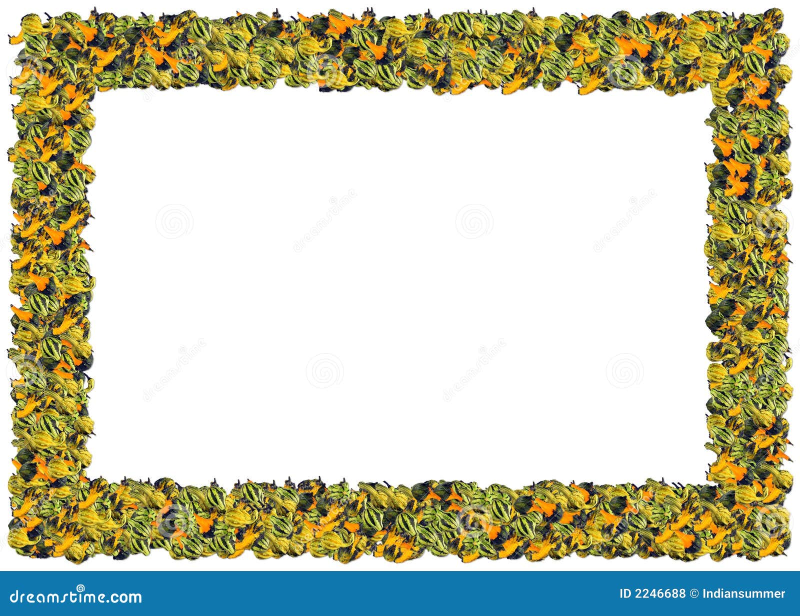 Gourds Frame stock illustration. Illustration of macro - 2246688