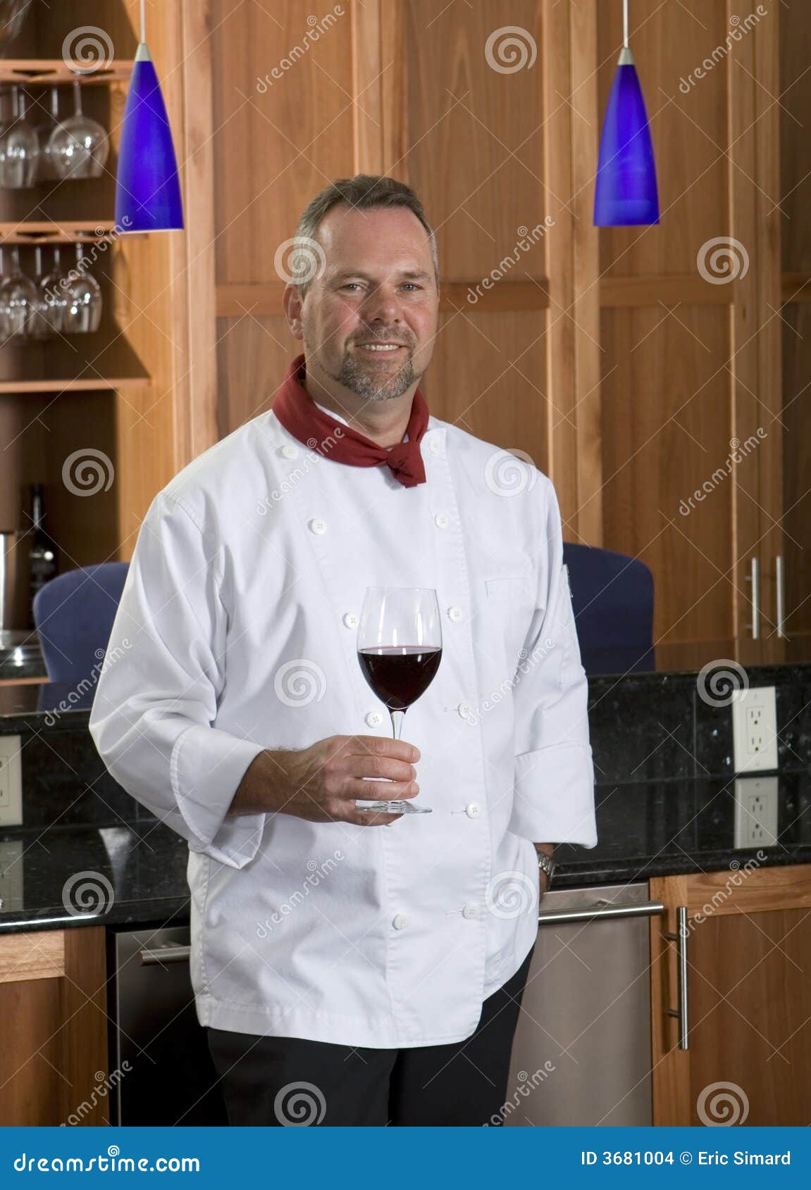 Gourmet Chef stock photo. Image of domestic, portrait - 3681004