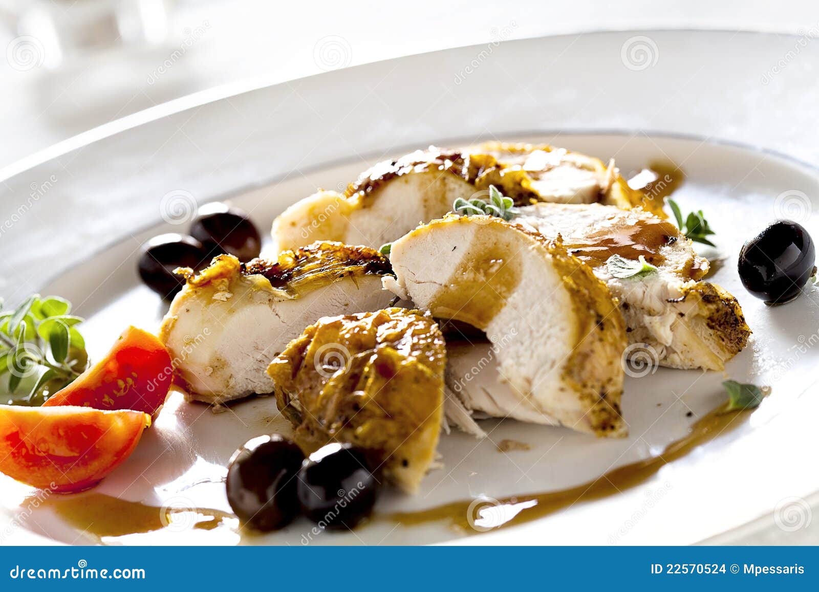 Gourmet Chicken Fillet stock photo. Image of fillet, plate - 22570524
