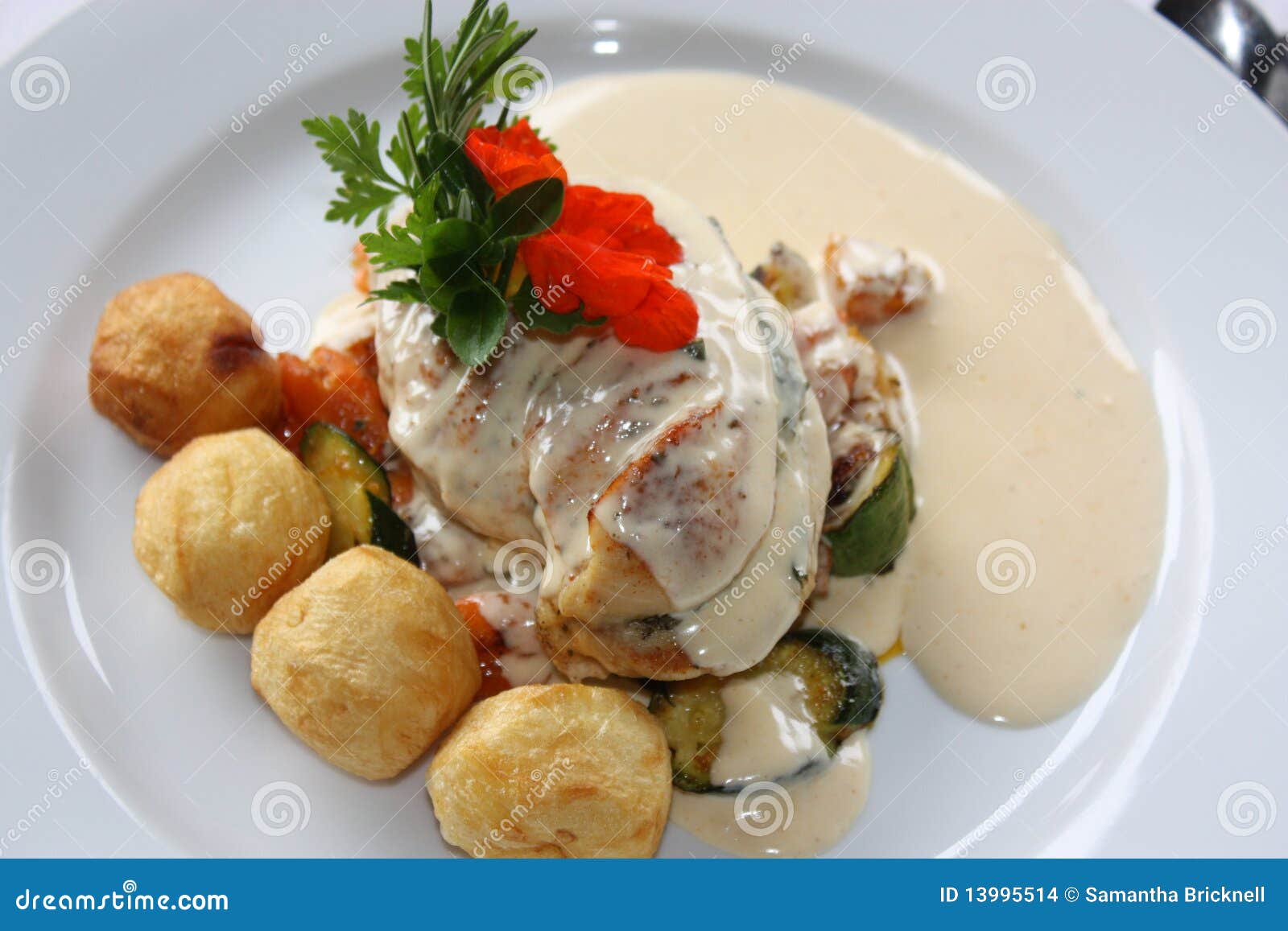 Gourmet Chicken Supreme stock photo. Image of tasty, meal - 13995514
