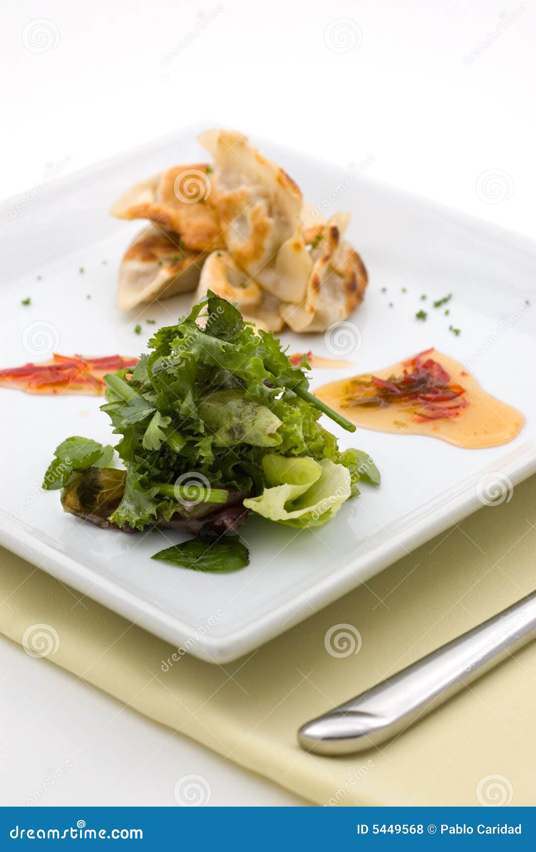 Gourmet dish. stock photo. Image of recipe, latin, lunch - 5449568
