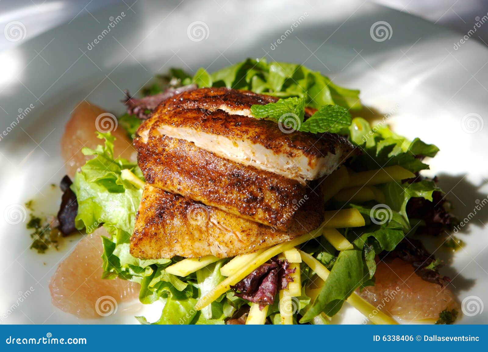 Gourmet Fish and Citrus Salad Stock Photo - Image of grilled, food: 6338406