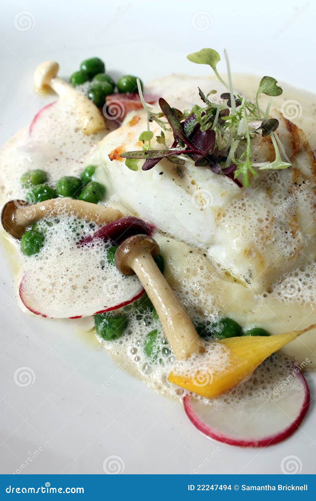 Gourmet Fish Dish stock photo. Image of greens, seafood - 22247494