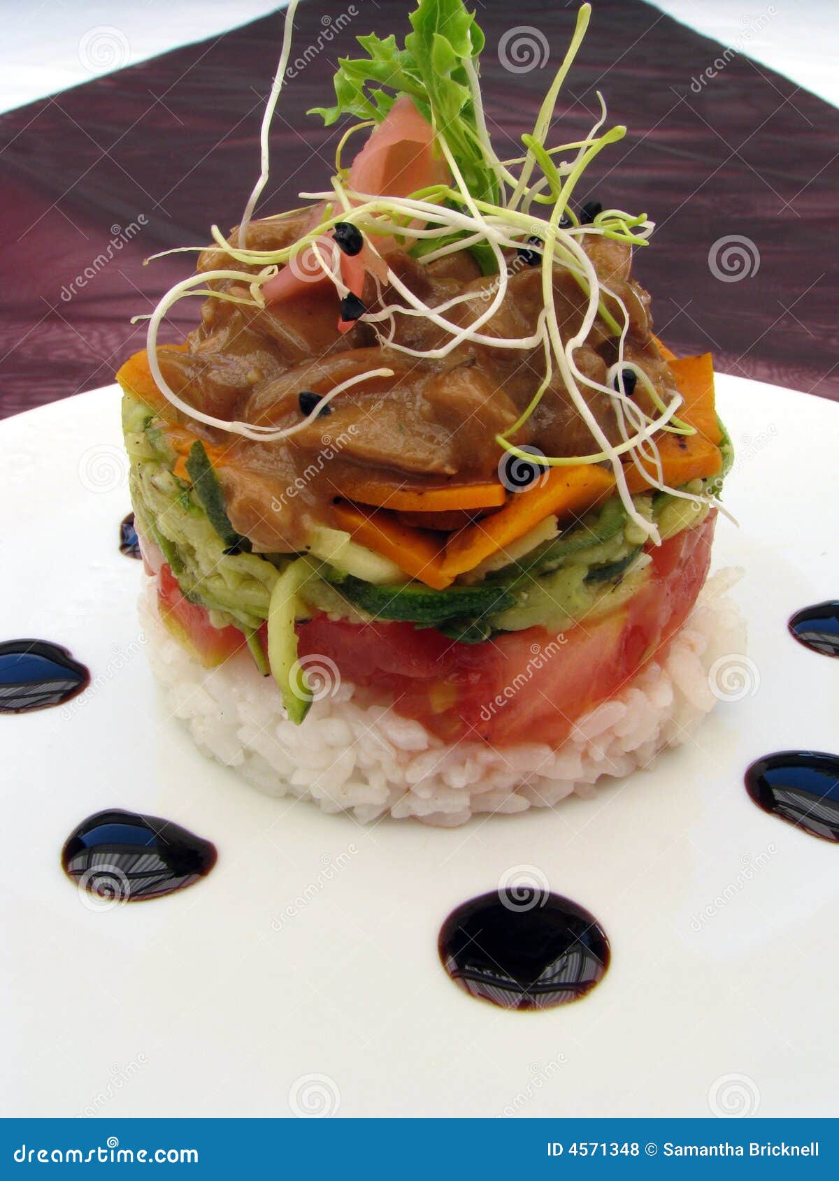 Gourmet Food stock photo. Image of rice, starving, chicken - 4571348