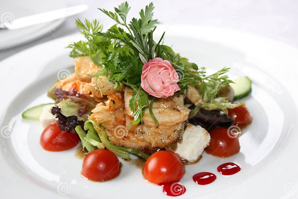 Gourmet Salad stock image. Image of tasty, meal, lunch - 13995349