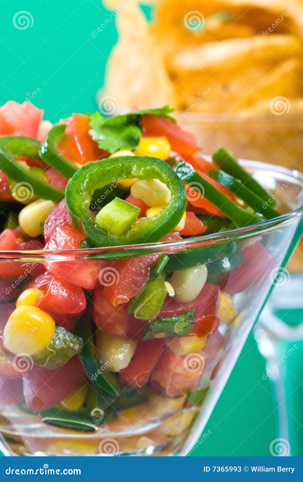 Gourmet Salsa stock image. Image of chips, colorful, meatless - 7365993