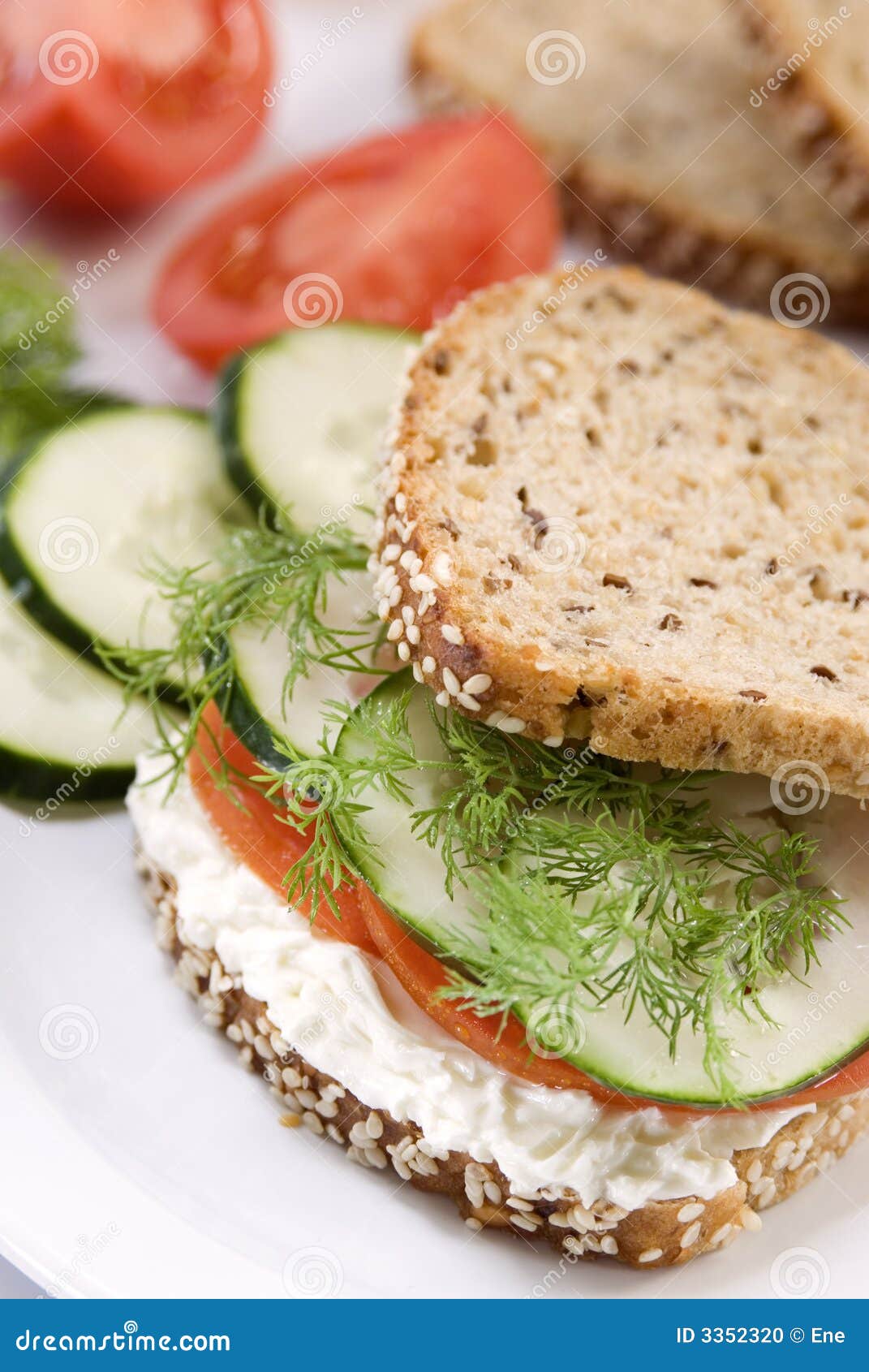 Gourmet sandwich stock photo. Image of green, clipping - 3352320