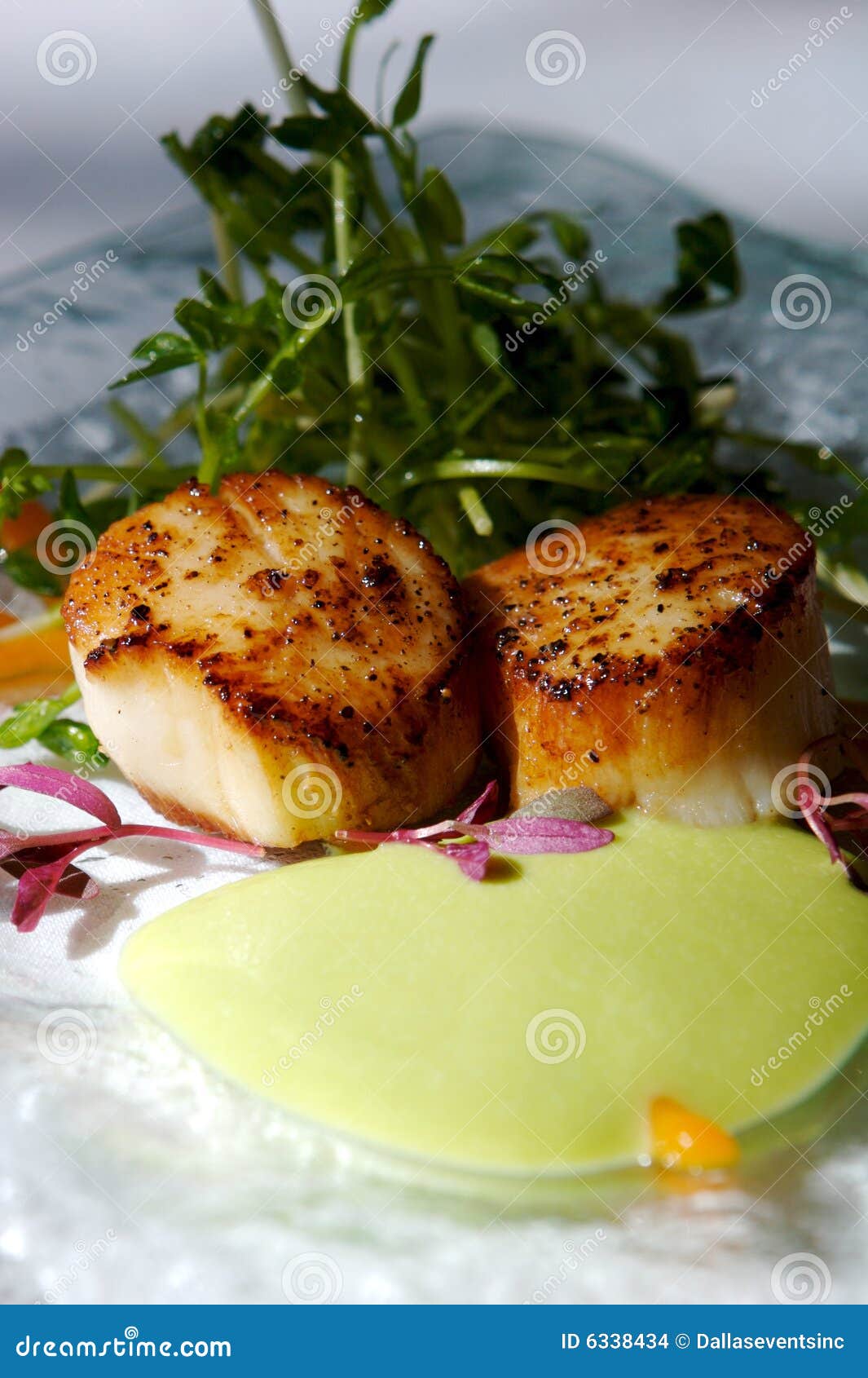 Gourmet Seared Scallops with Garnishes Stock Photo - Image of luxury ...