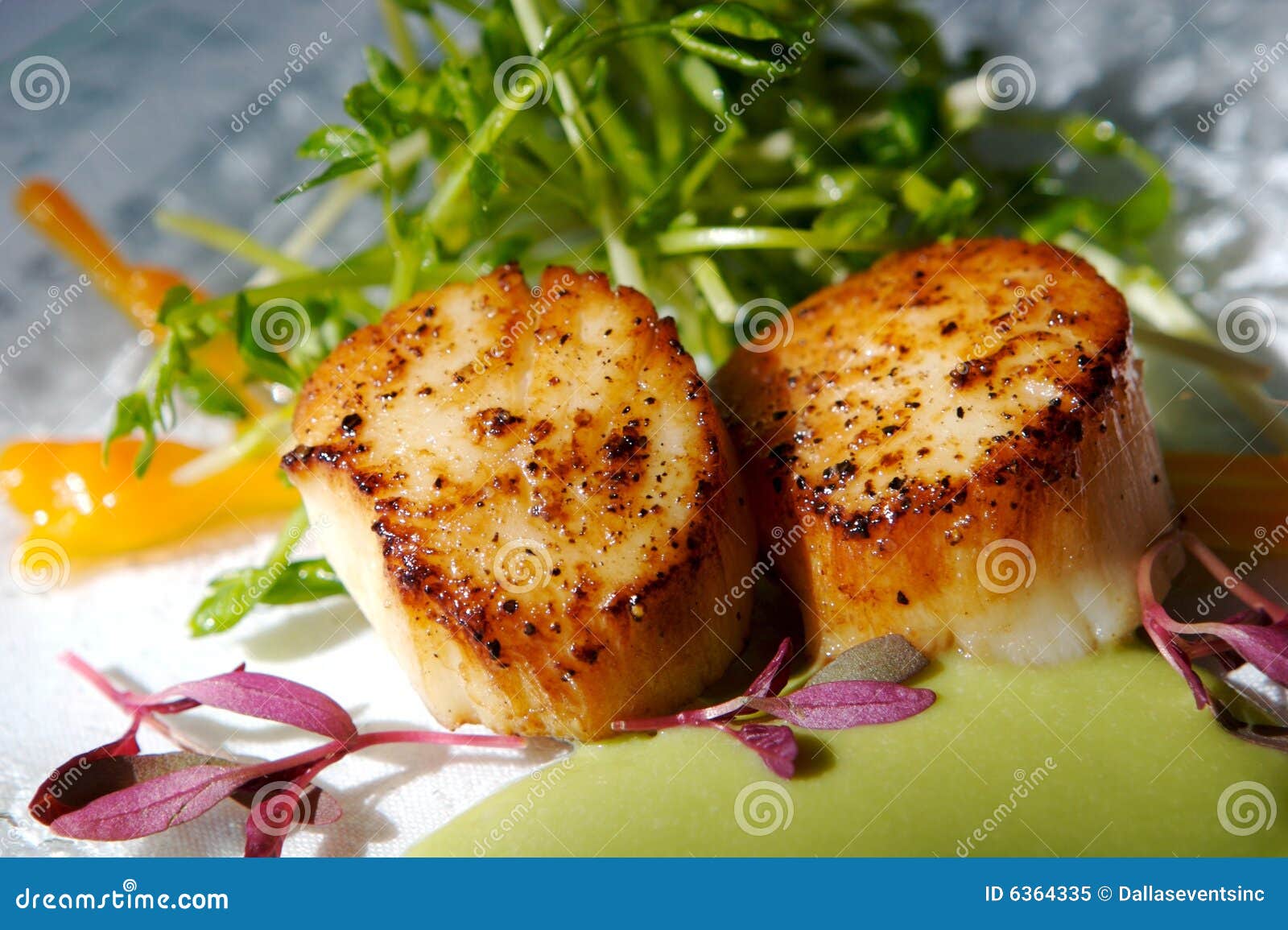 Gourmet Seared Scallops with Garnishes Stock Image - Image of diet ...
