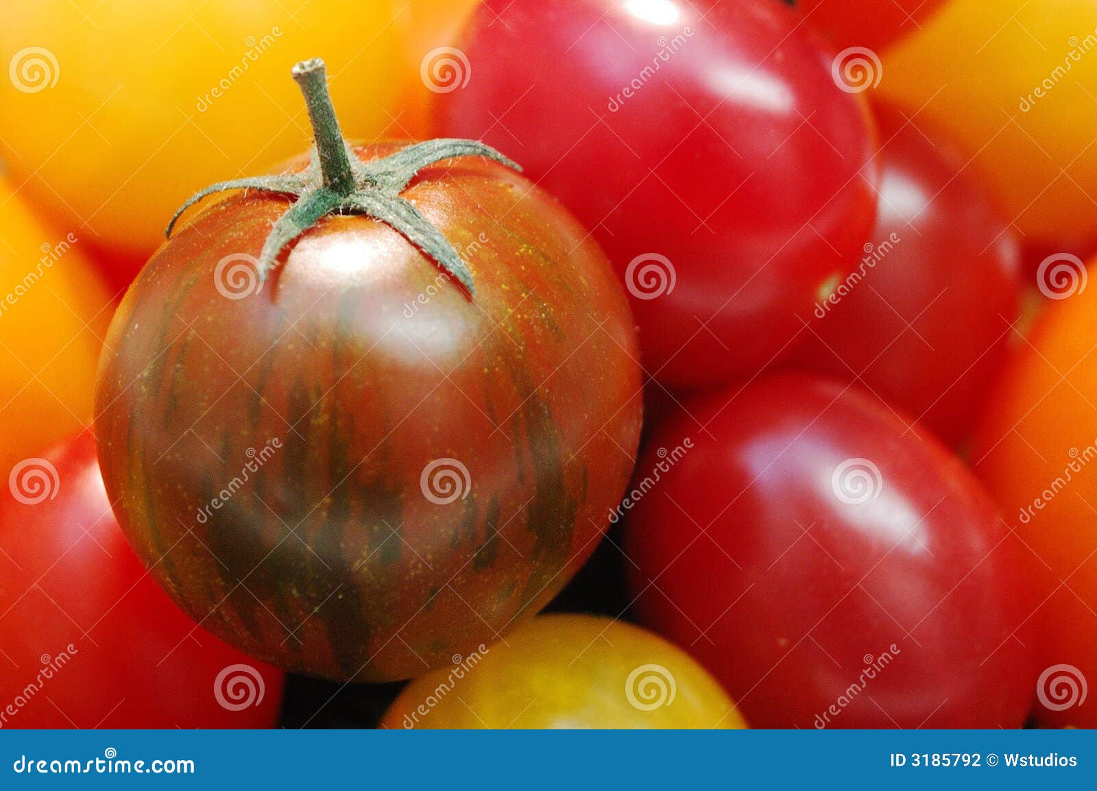 Gourmet Tomatoes stock photo. Image of nutrition, cooking - 3185792