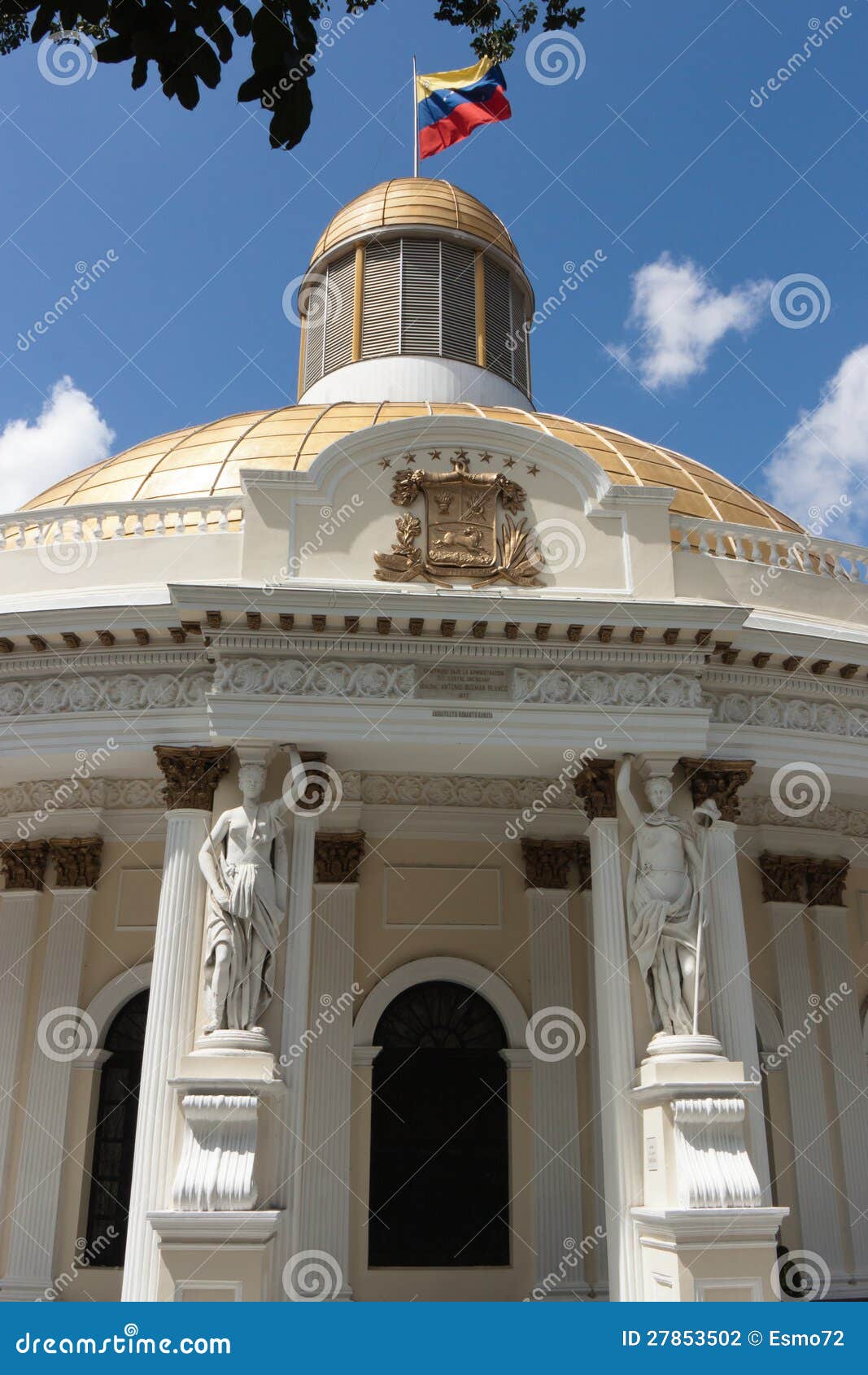 Government Building in Caracas Stock Photo - Image of dome, flag: 27853502