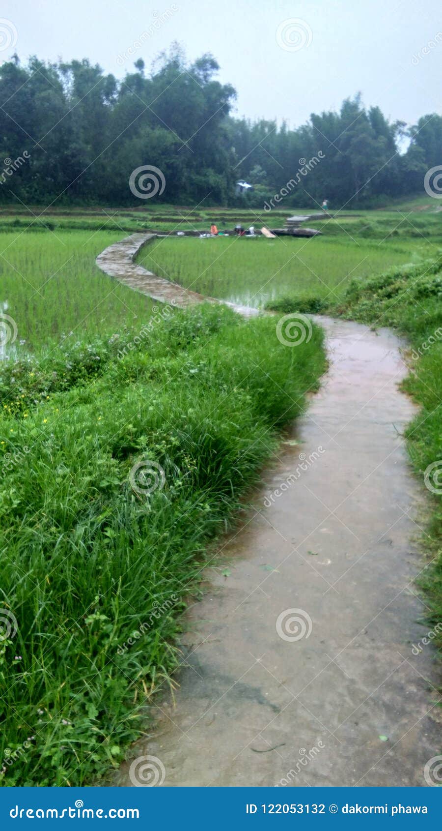 Footh path stock photo. Image of prove, govt, path, footh - 122053132