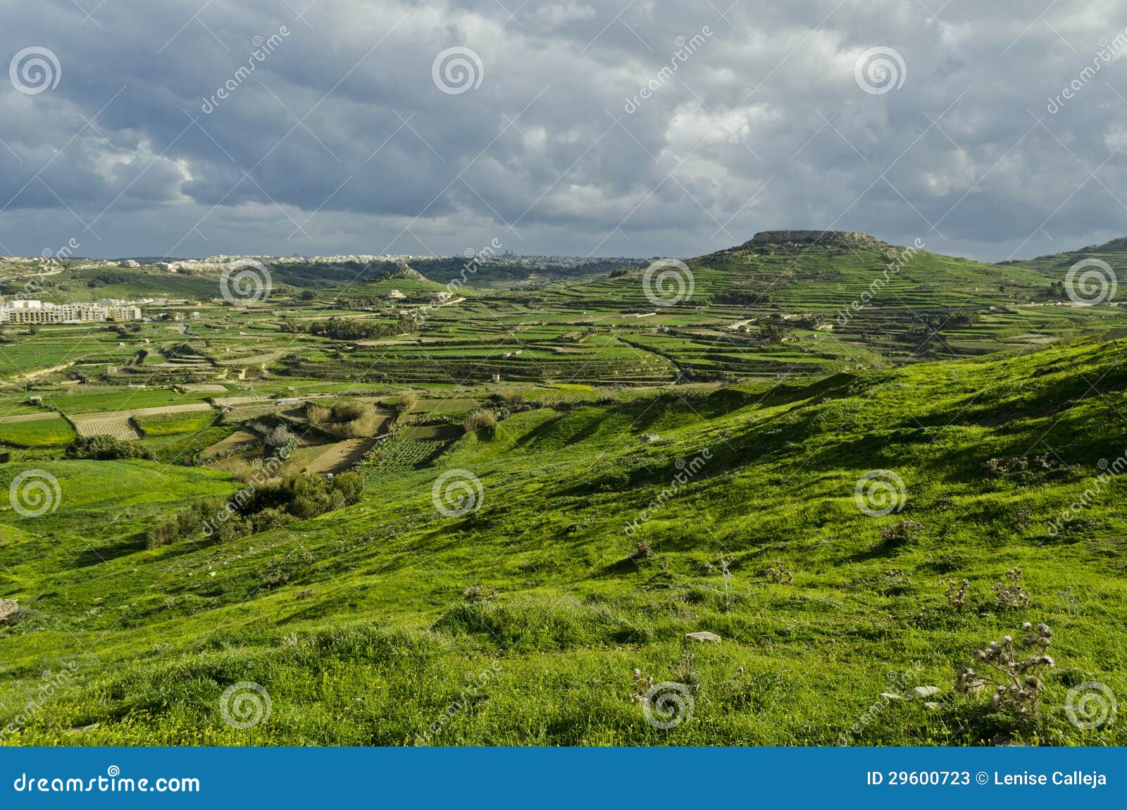 Gozo countryside - Malta stock image. Image of countryside - 29600723