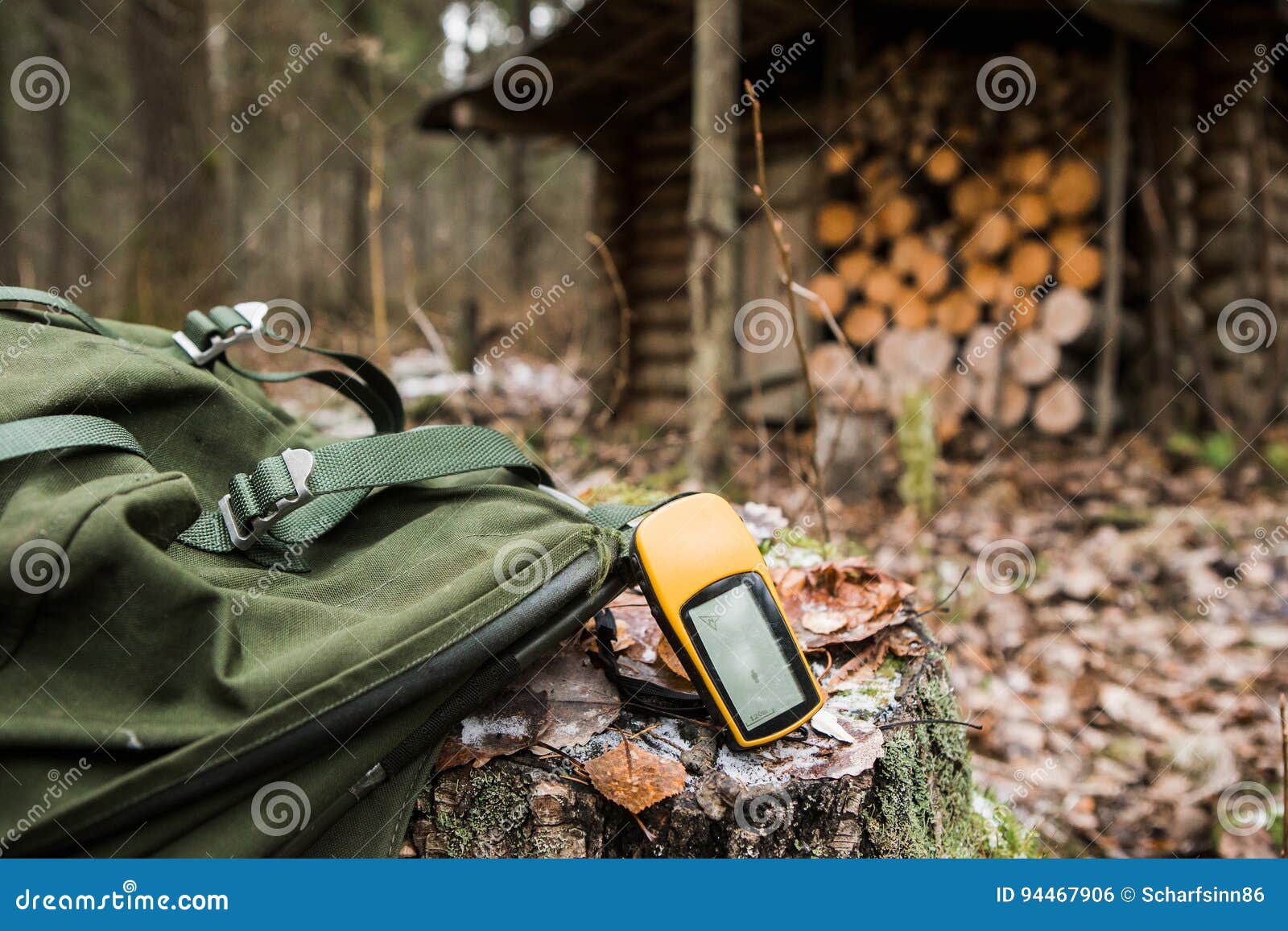 GPS Navigator in the Forest Stock Photo - Image of outdoor, nature ...
