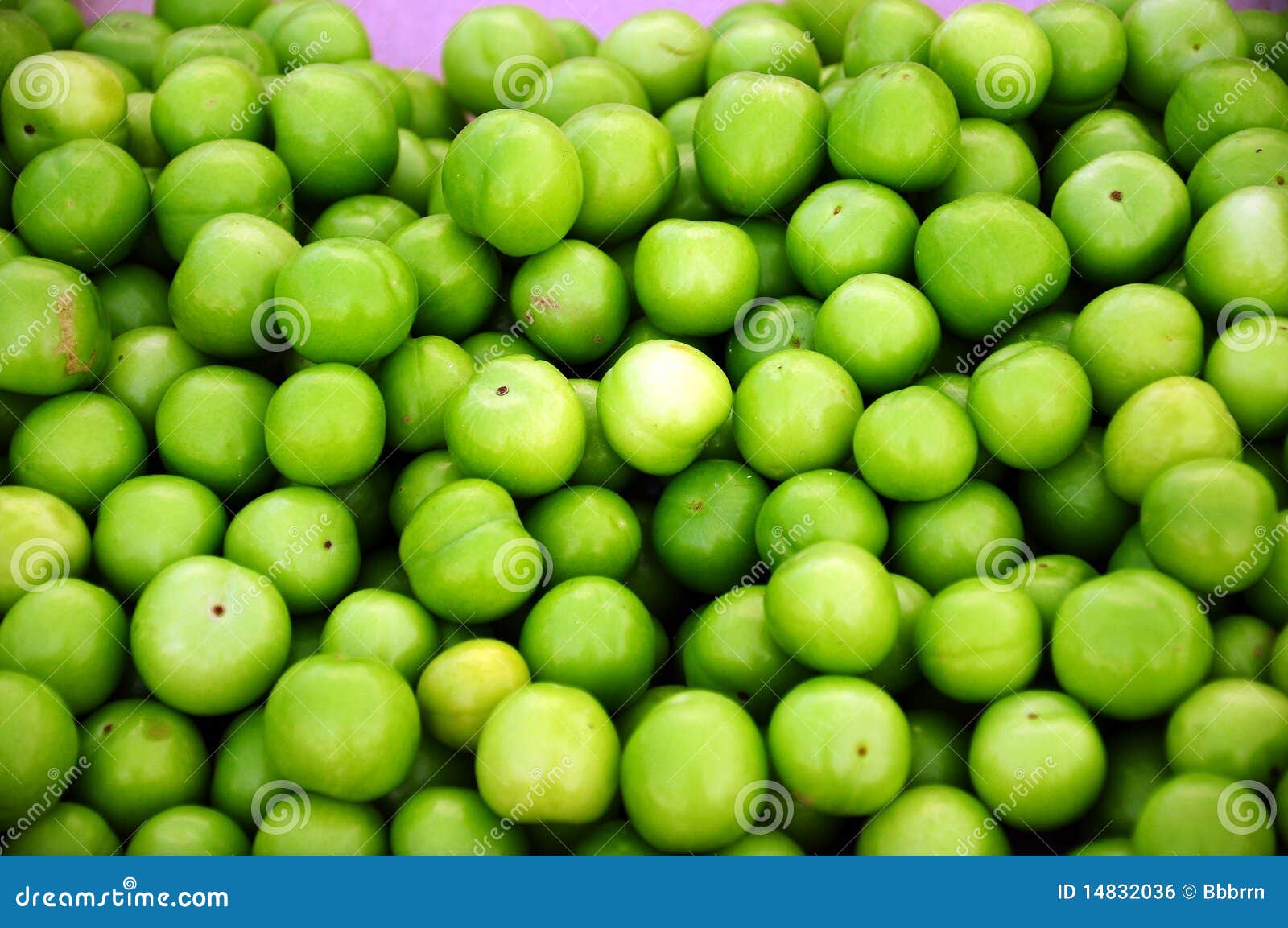 Grön plommon arkivfoto. Bild av producera, aptit, naturligt - 14832036