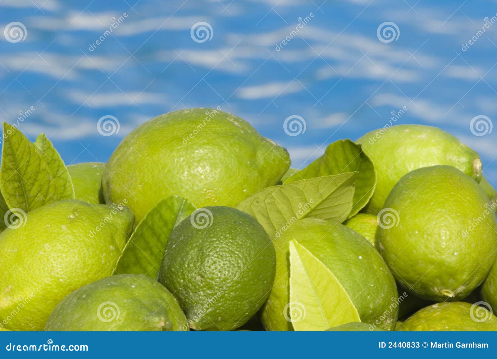 Gröna citroner fotografering för bildbyråer. Bild av sunt - 2440833