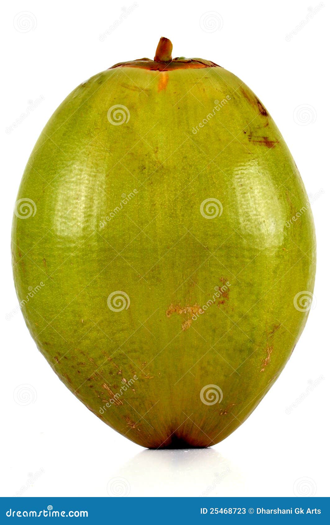 Grüne Kokosnuss stockbild. Bild von reise, hart, frucht - 25468723