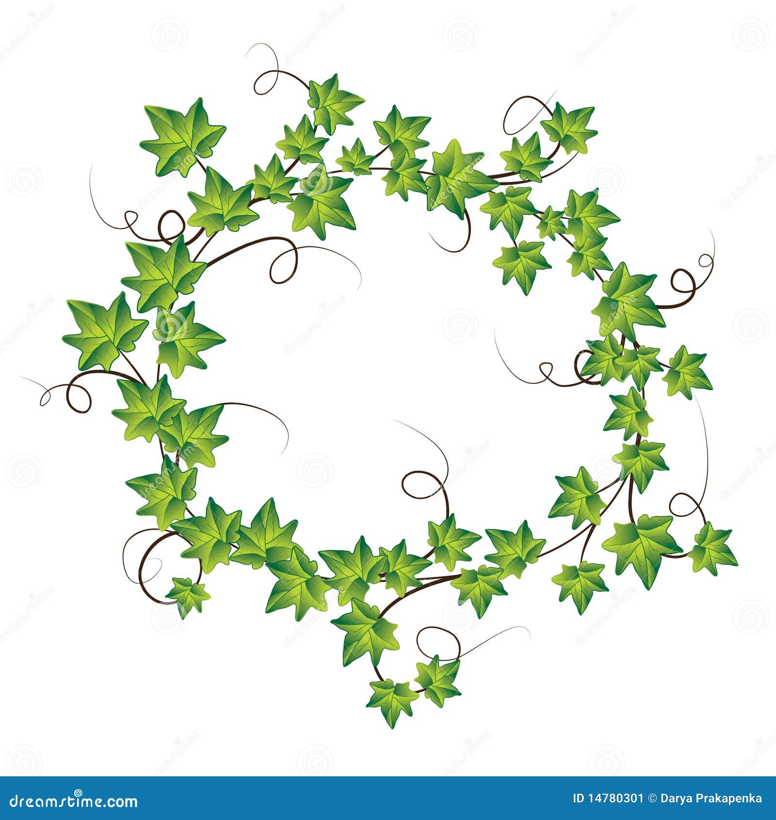 Grüner Efeu. Vektorabbildung Vektor Abbildung - Illustration von ...