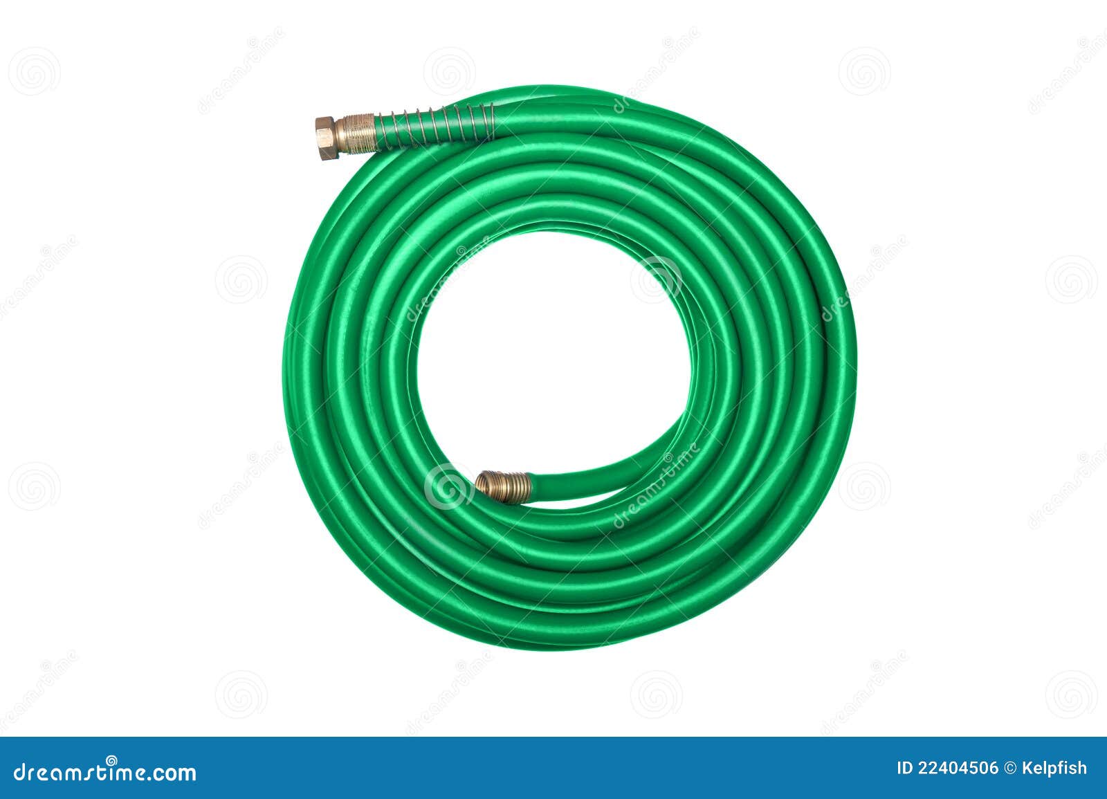 Grön Slang Isolerad White Arkivfoto - Bild av vitt, grön: 22404506