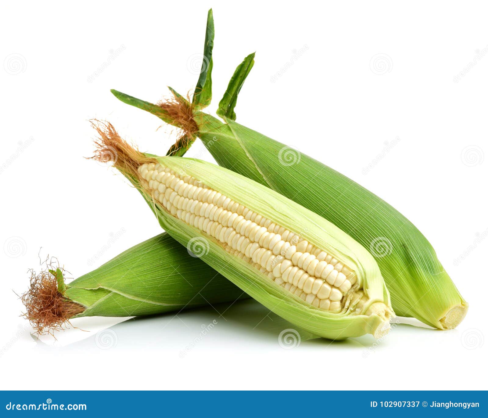 Graan stock afbeelding. Image of korrel, suikermaïs - 102907337