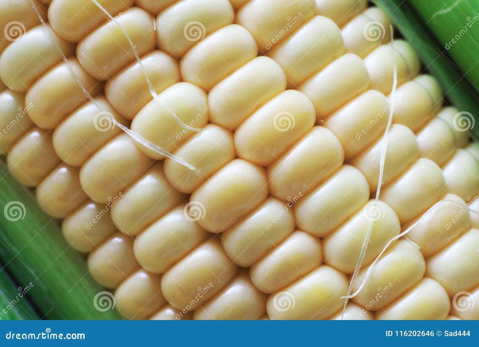 Graan stock foto. Image of achtergrond, textuur, korrels - 116202646