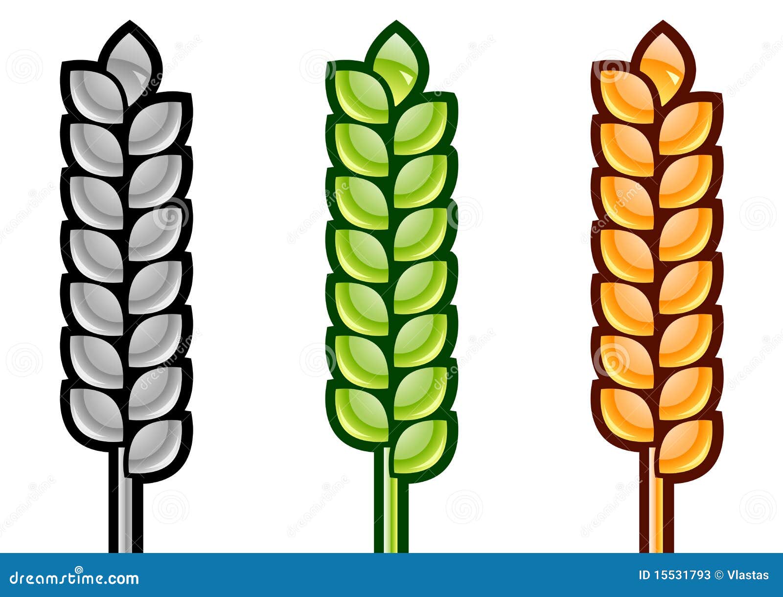 Graan vector illustratie. Illustration of tekening, organisch - 15531793