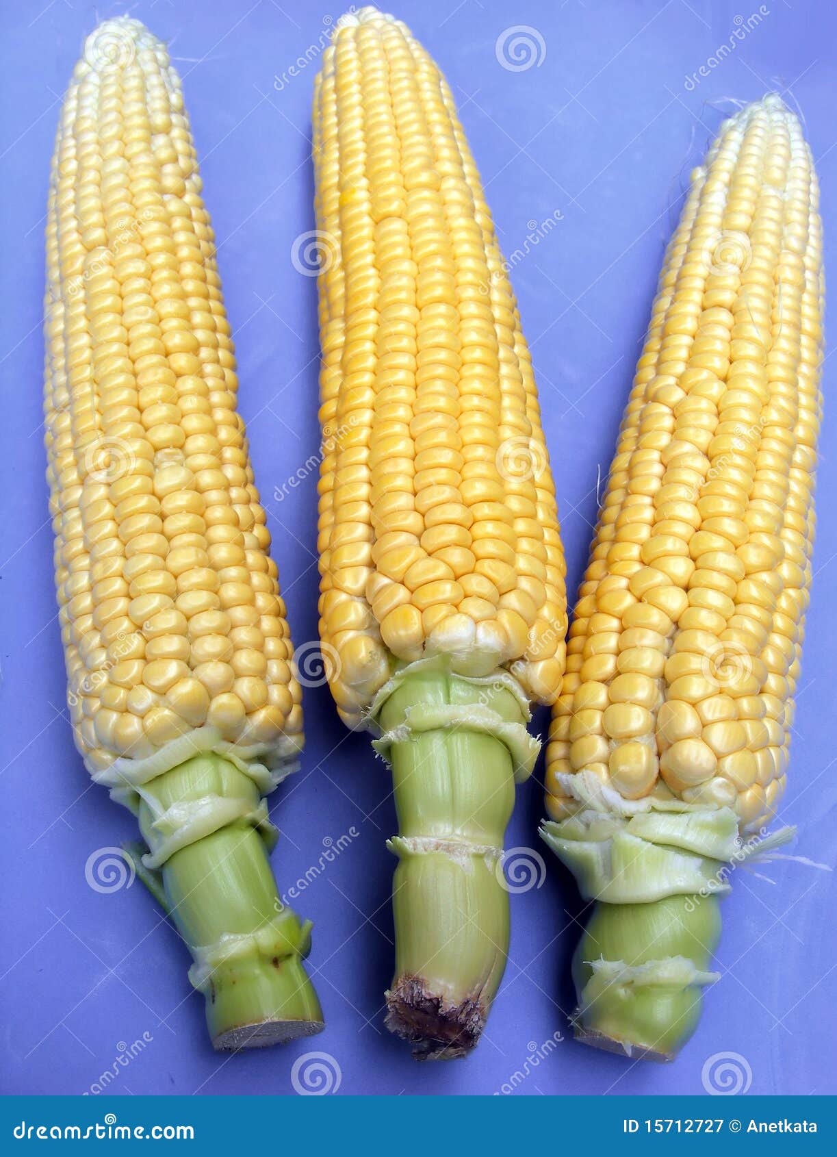 Graan stock afbeelding. Image of gezond, gewas, landbouwbedrijf - 15712727