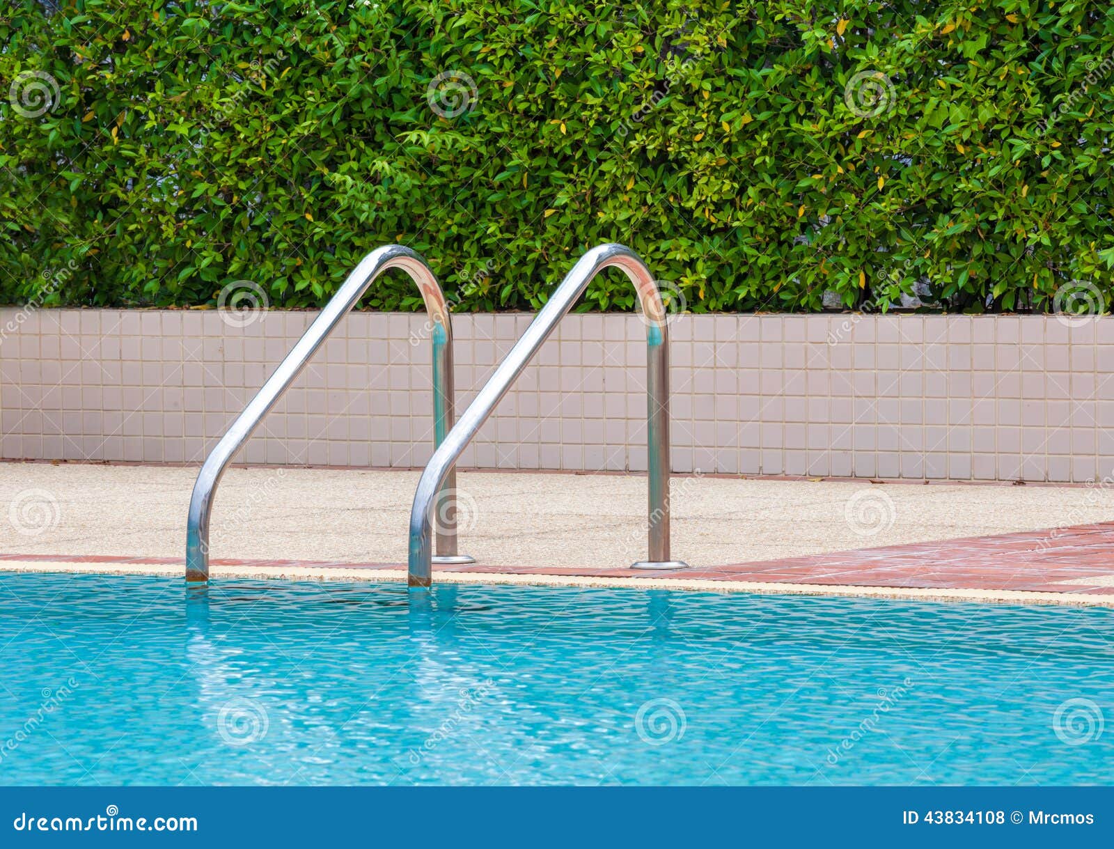 Grab Bars Ladder in the Blue Swimming Pool Stock Photo - Image of ...