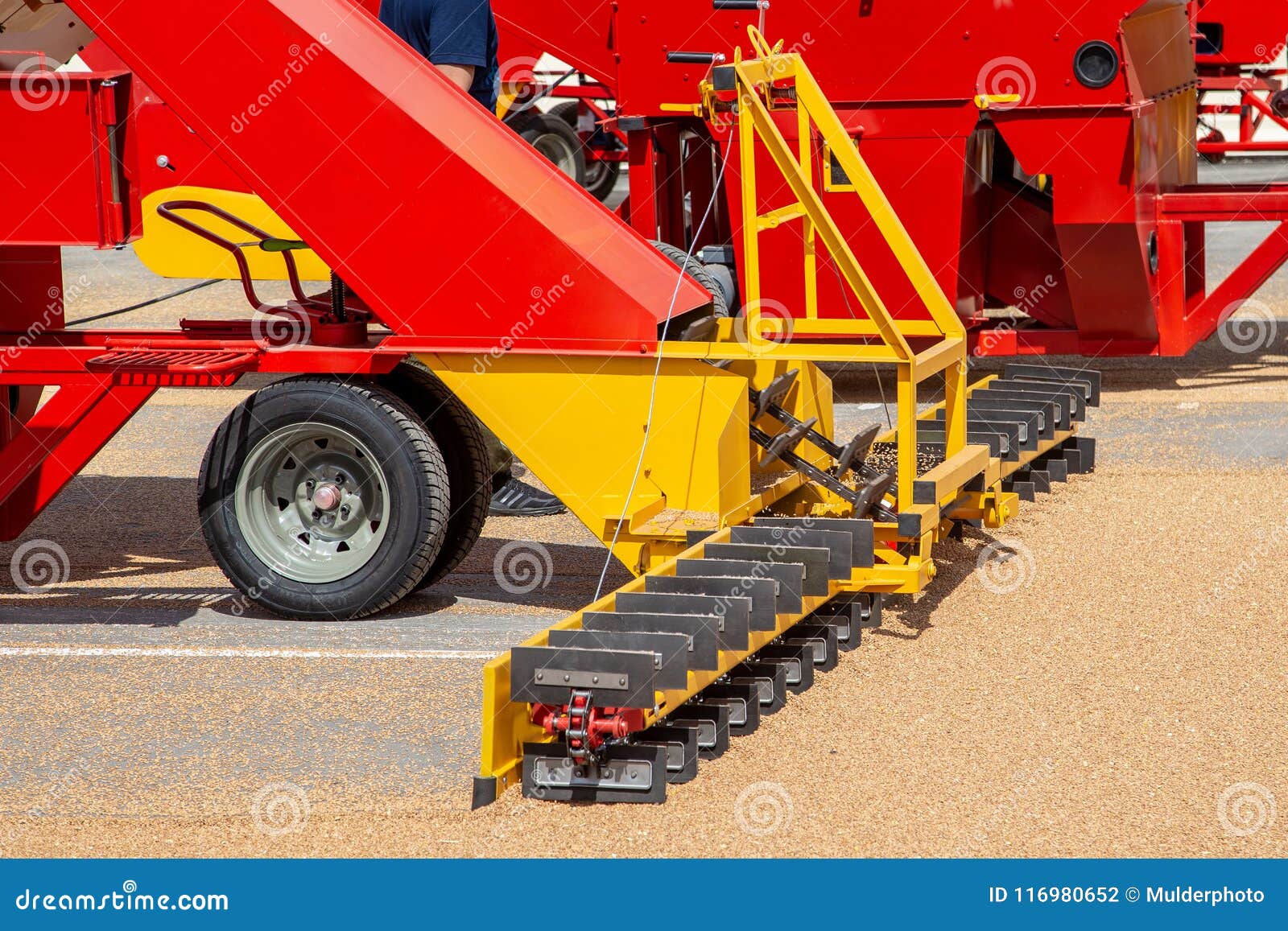 Grabbing Grain from Asphalt Surface by Scrapers of Conveyor Grain ...