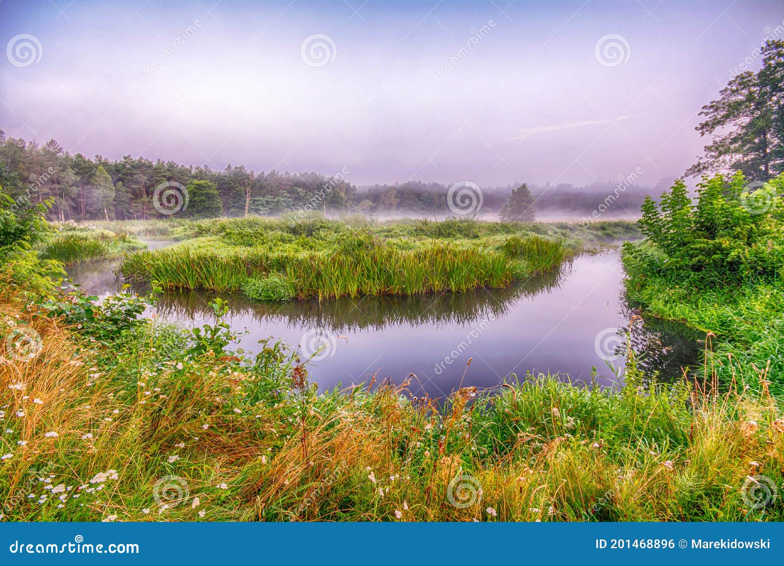 The Grabia River in Central Poland. Stock Photo - Image of green, trip ...