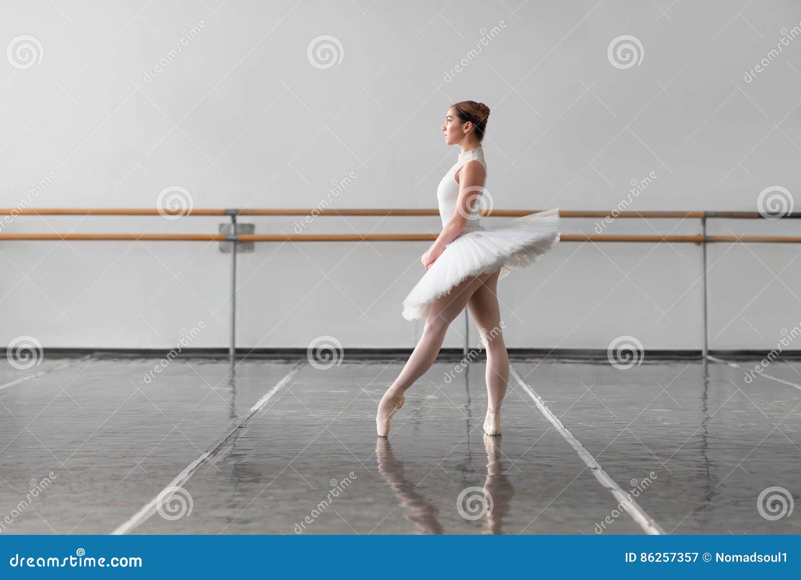 47,150 Grace Ballet Stock Photos - Free & Royalty-Free Stock Photos ...