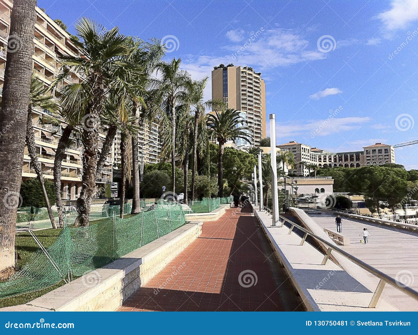 Grace Kelly-Allee in Monte Car Redaktionelles Foto - Bild von palme ...