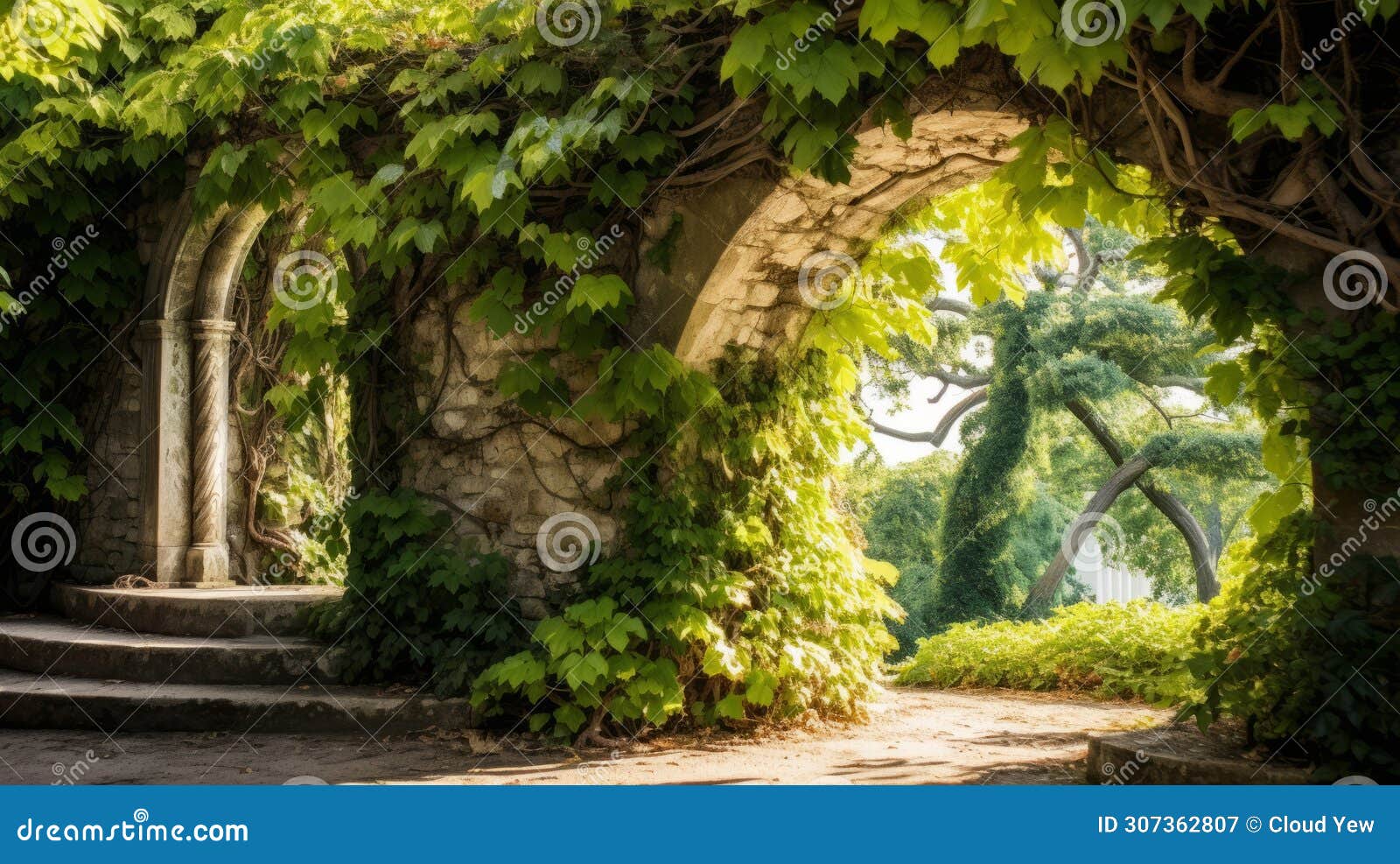 The Graceful Curves of a Vine Covered Arch Stock Illustration ...