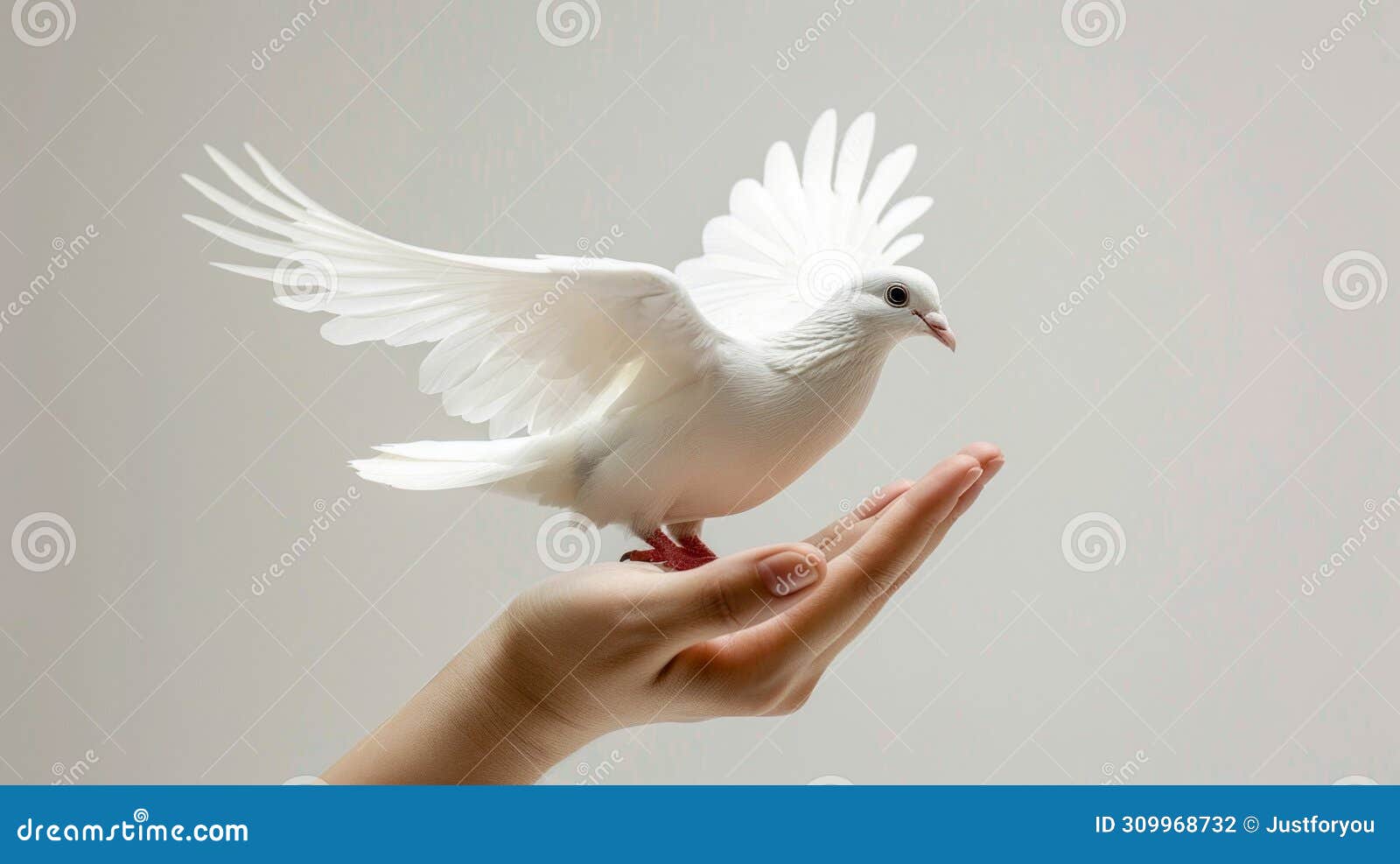 Graceful Dove Taking Flight from Human Hand. Generative Ai Stock ...